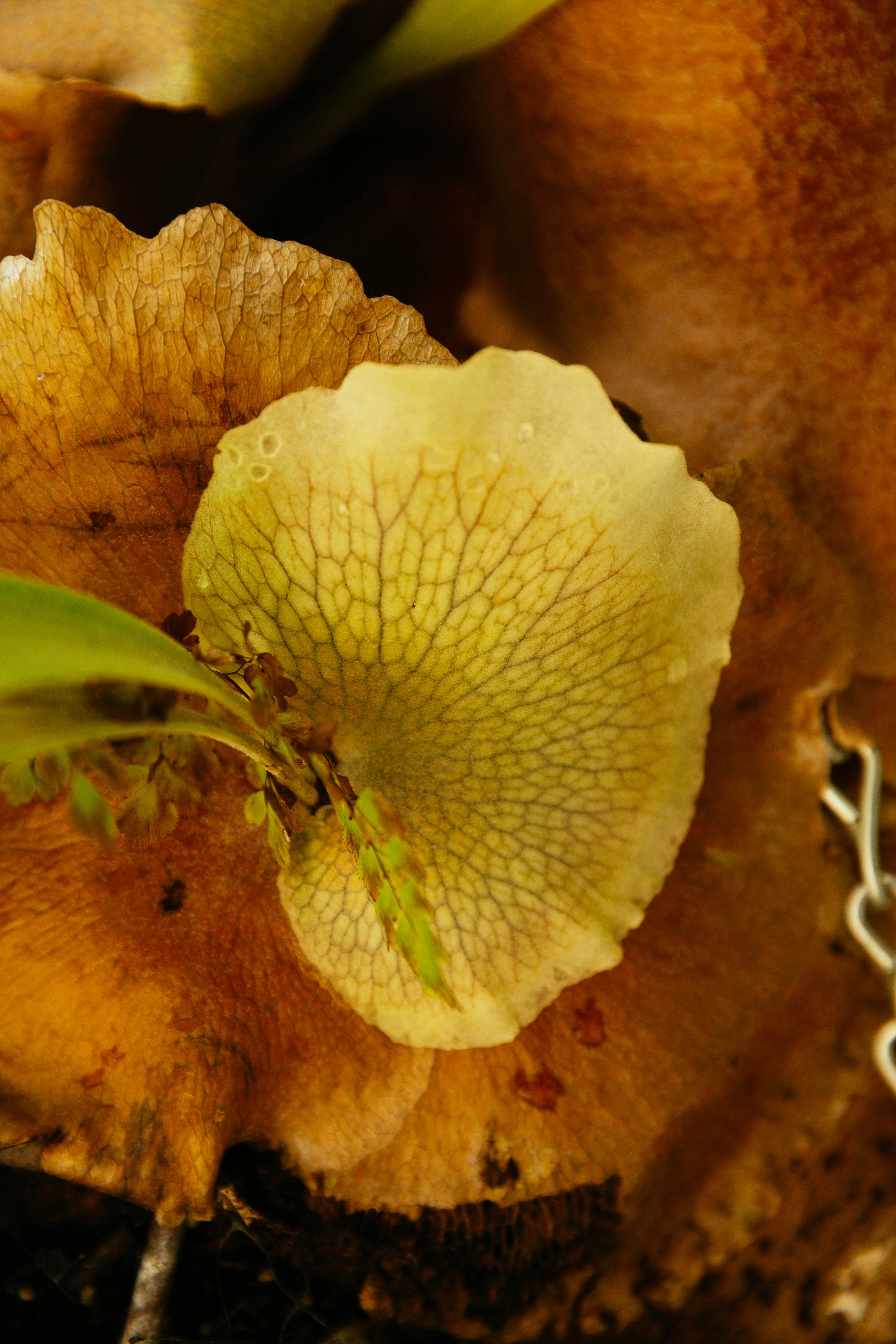 4kk Wallpaper Photos, Download The BEST Free 4kk Wallpaper Stock Photos ...