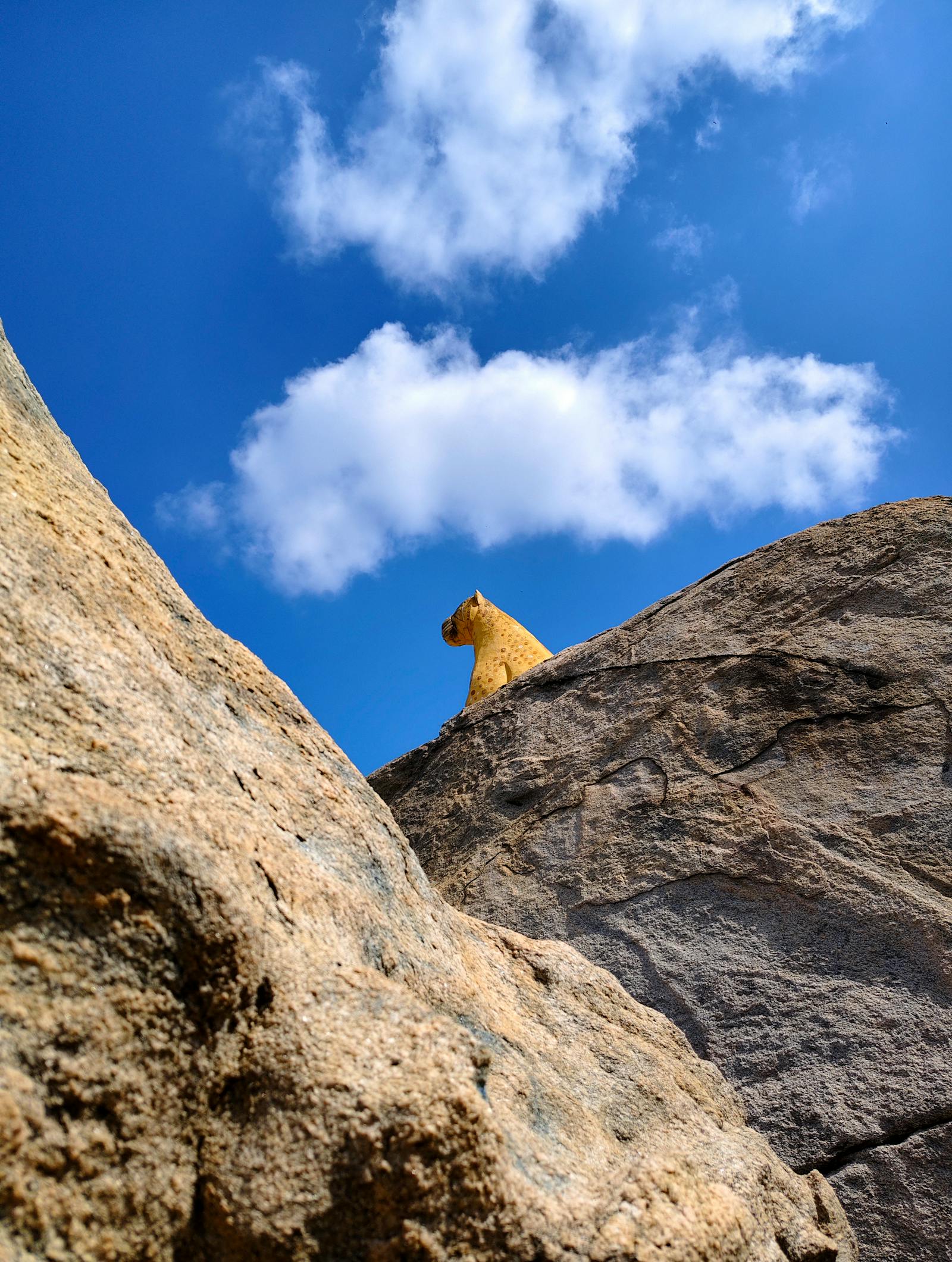 Spicy+Big+Butts Photos, Download The BEST Free Spicy+Big+Butts Stock ...