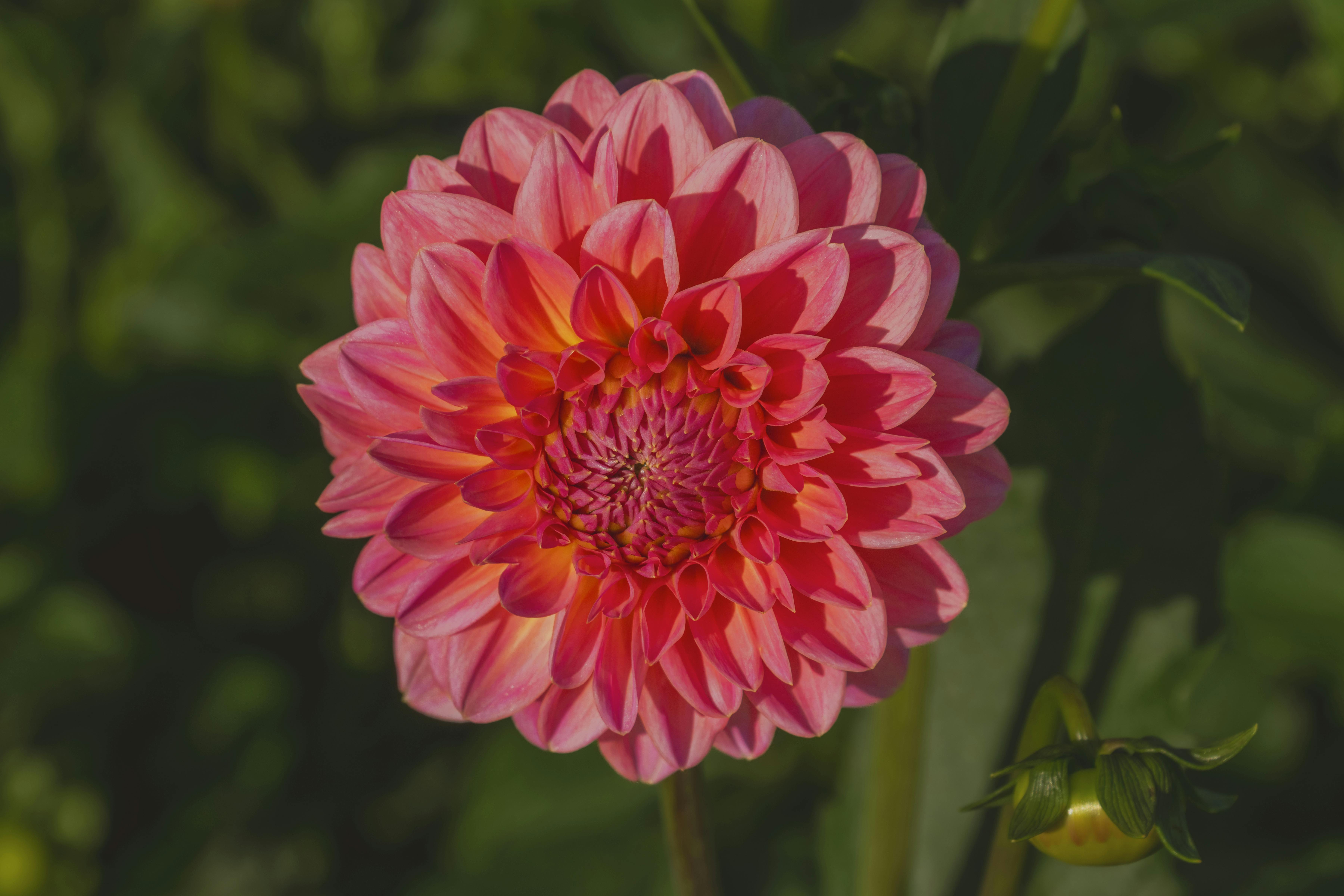 White Background Full Hd Photos, Download The BEST Free White ...