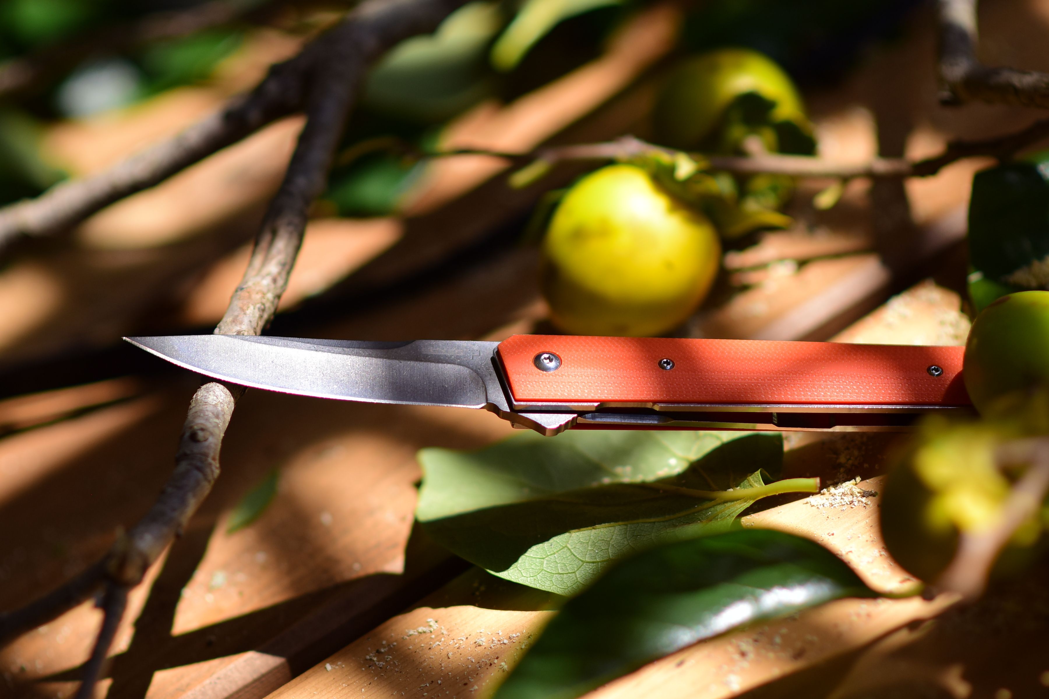 Sharp Folding Knife in Natural Setting with Leaves · Free Stock Photo