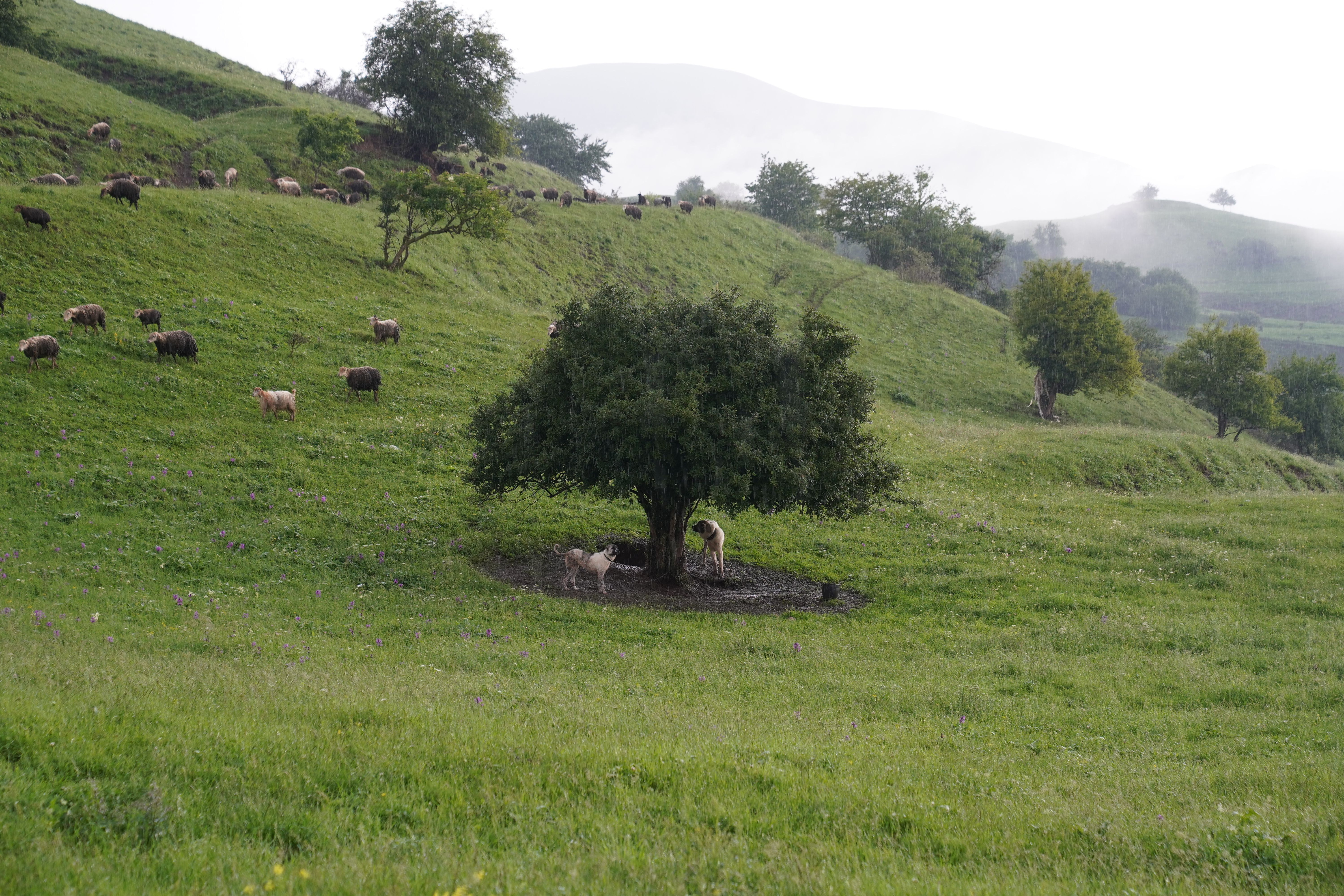 Pastoral Mentorship Photos, Download The BEST Free Pastoral Mentorship ...