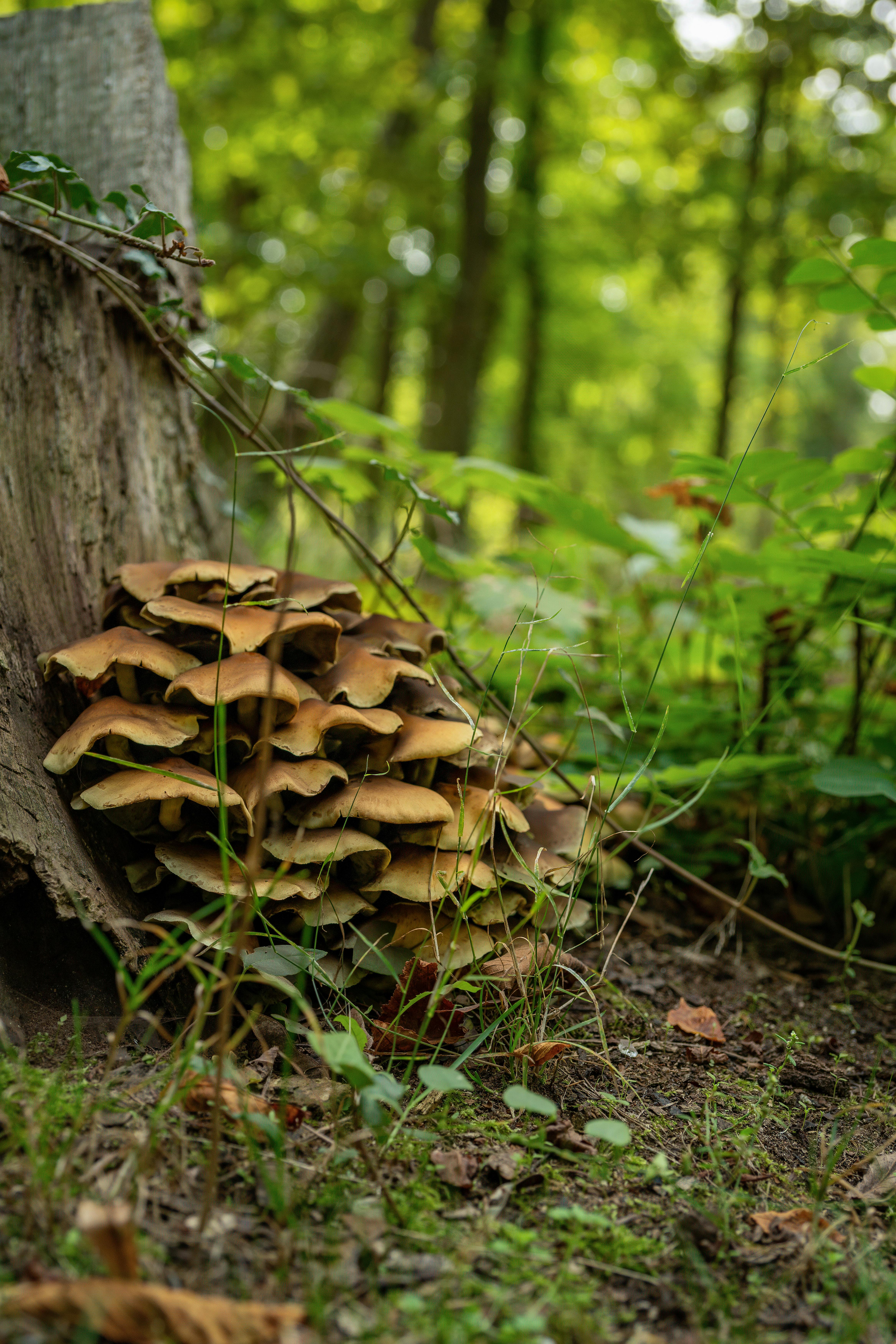 Square Root 123 Photos, Download The BEST Free Square Root 123 Stock ...