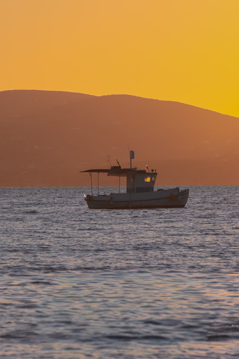 Pixabay Photos, Download The BEST Free Pixabay Stock Photos & HD Images