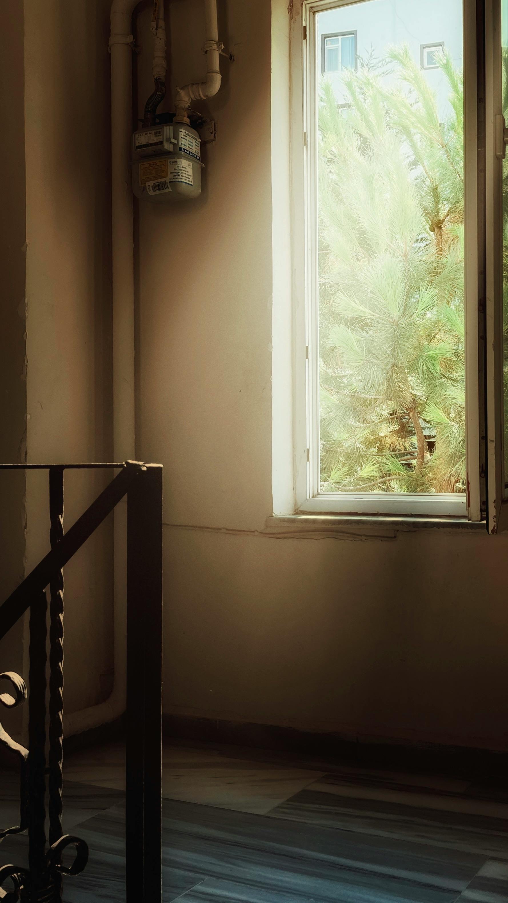 House Warming Photos, Download The BEST Free House Warming Stock Photos ...