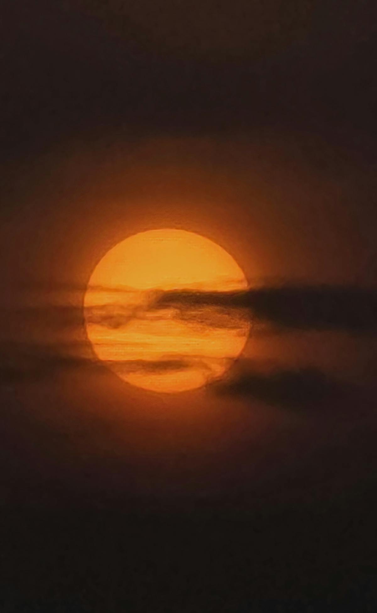 Aesthetic Pfp Photos, Download The BEST Free Aesthetic Pfp Stock Photos ...