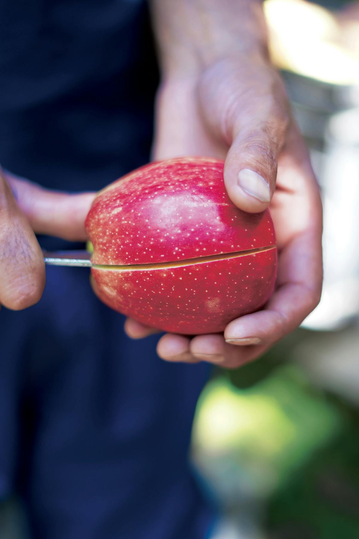 Apple Fruit Photos, Download The BEST Free Apple Fruit Stock Photos ...