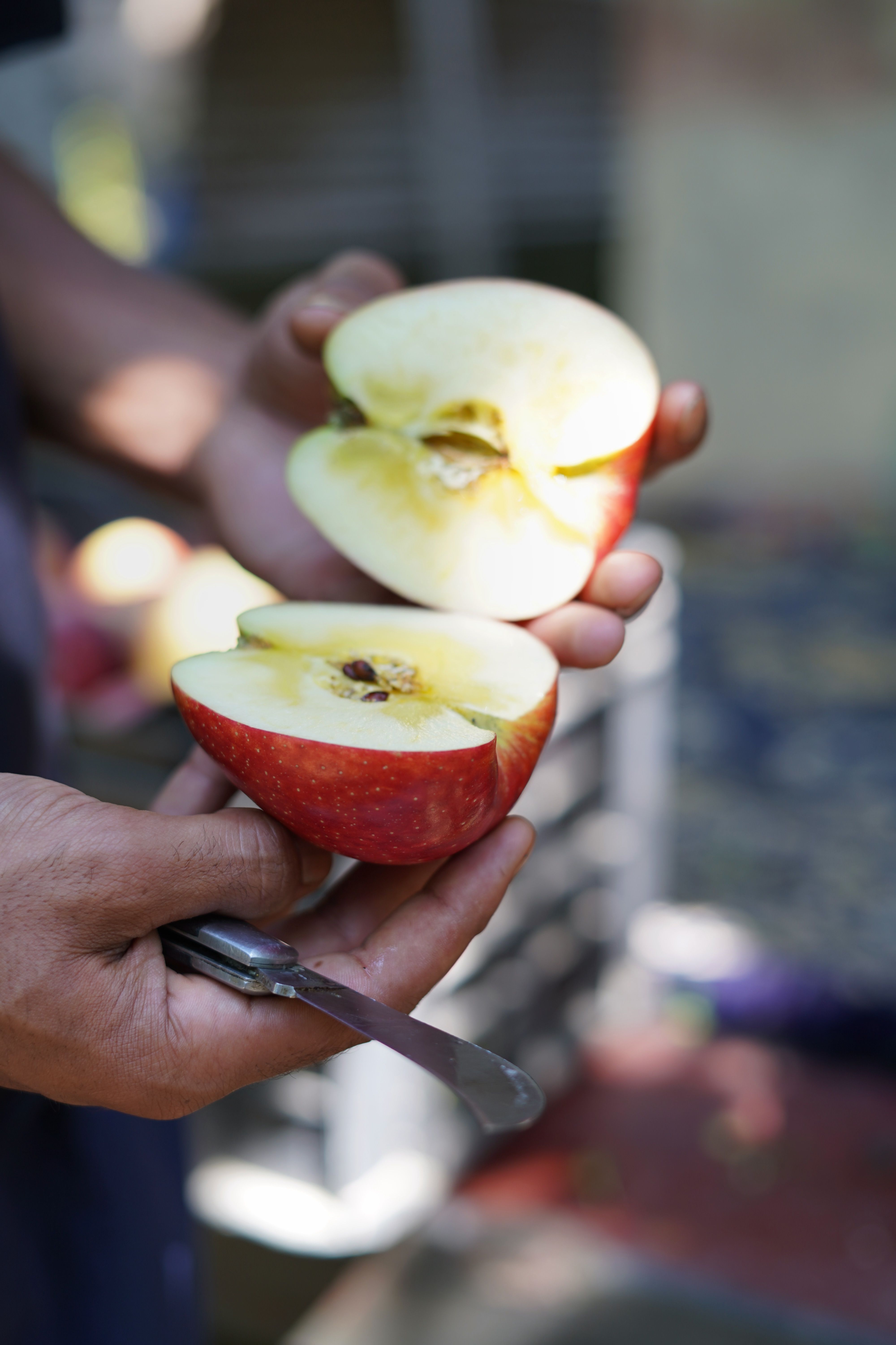 Close-up of Sliced Apple in Hands Outdoors · Free Stock Photo