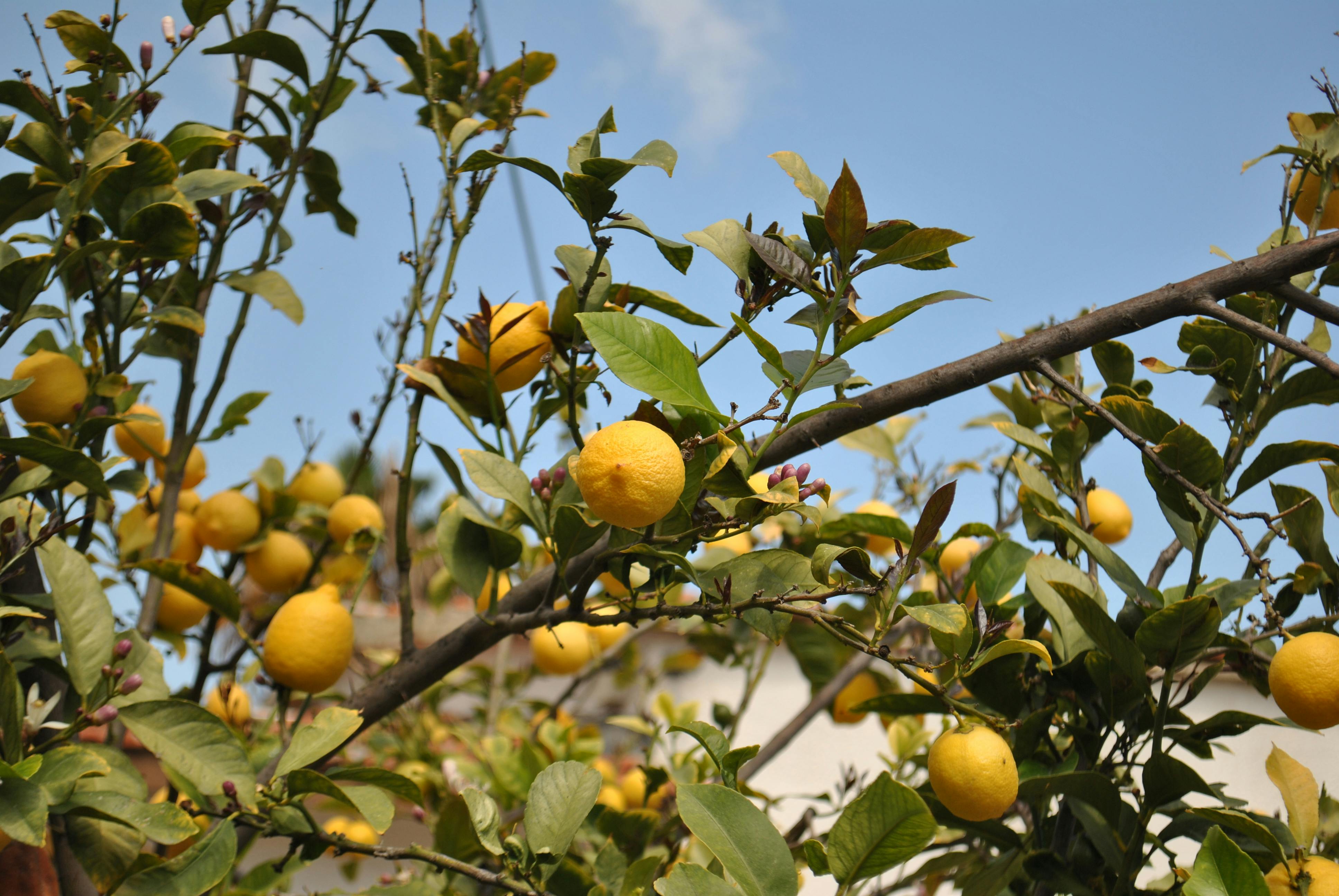 Trivia Background Photos, Download The BEST Free Trivia Background ...