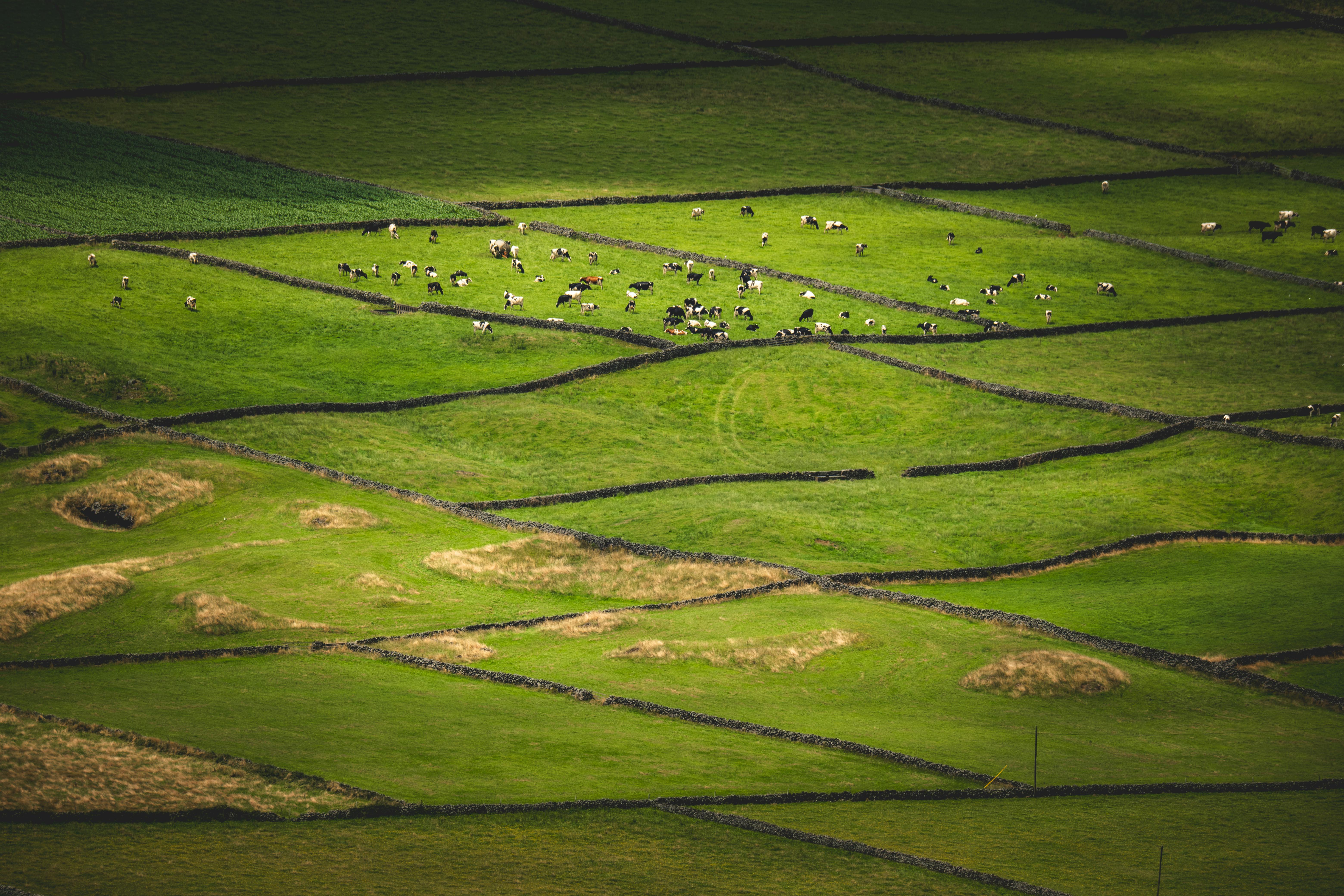 640 X 640 Photos, Download The BEST Free 640 X 640 Stock Photos & HD Images