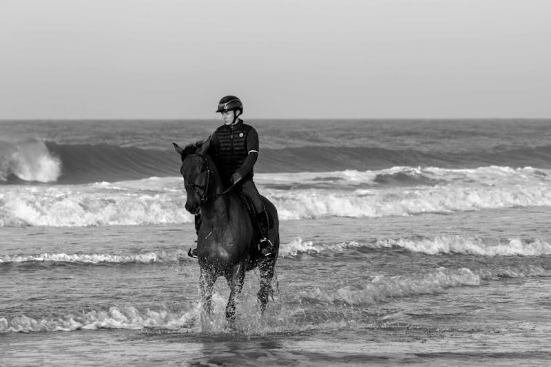 Unsplashed+Free+Photos Photos, Download The BEST Free Unsplashed+Free ...