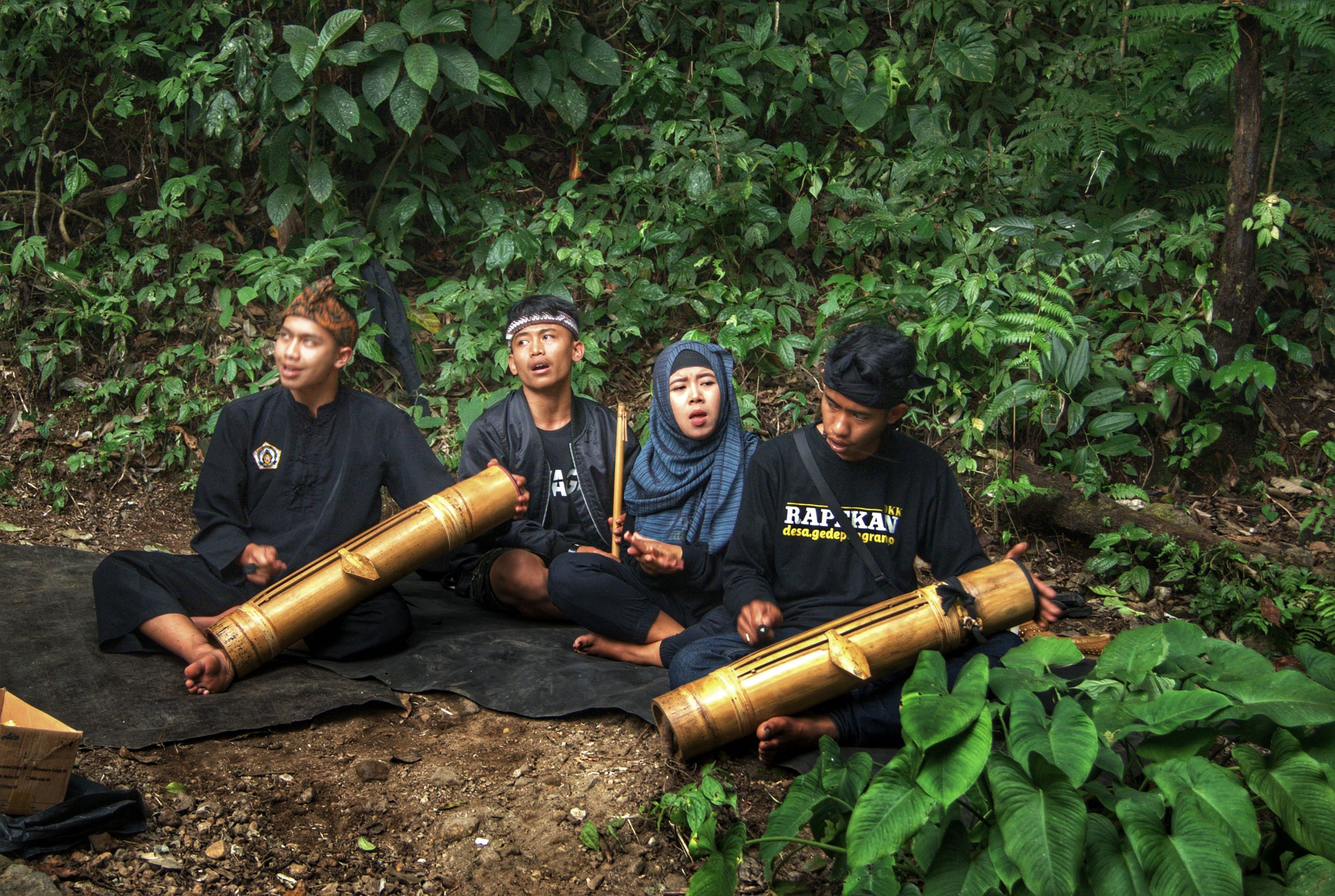Traditional Music Performance in Indonesian Jungle · Free Stock Photo