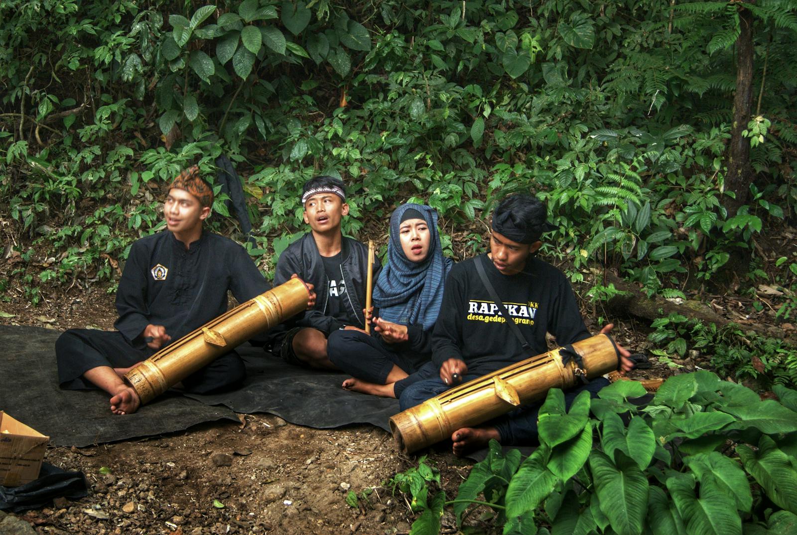 Java Photos, Download The BEST Free Java Stock Photos & HD Images