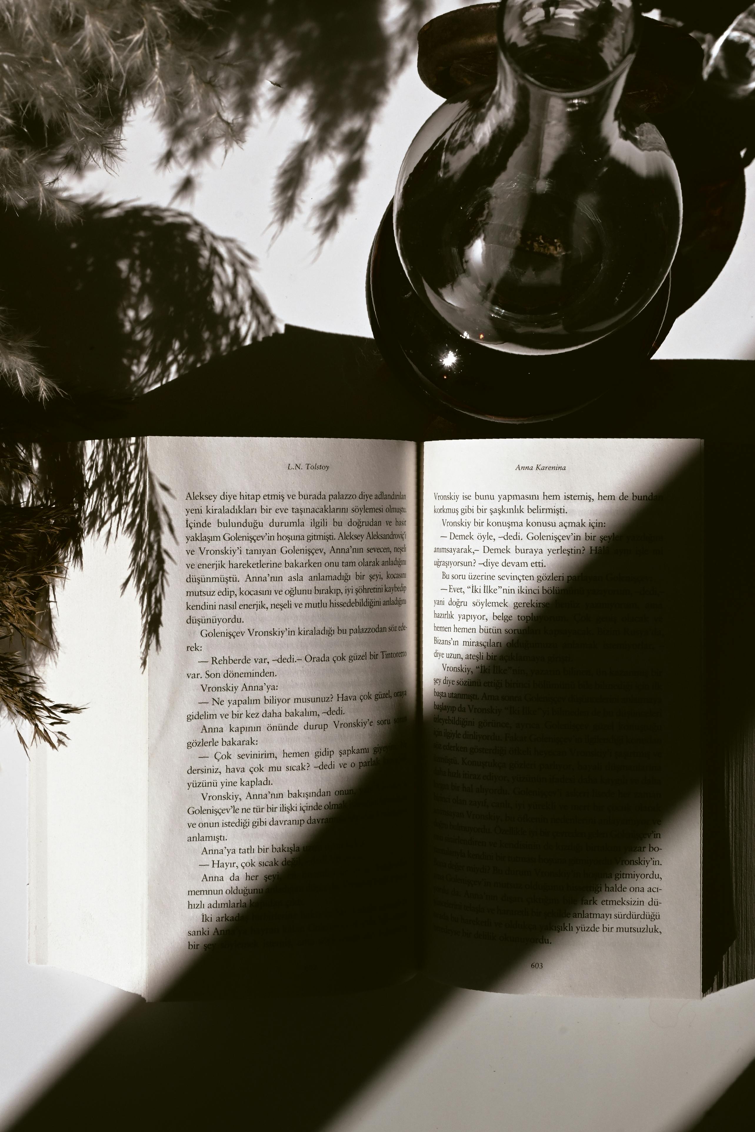 Aesthetic Pfp Photos, Download The BEST Free Aesthetic Pfp Stock Photos ...