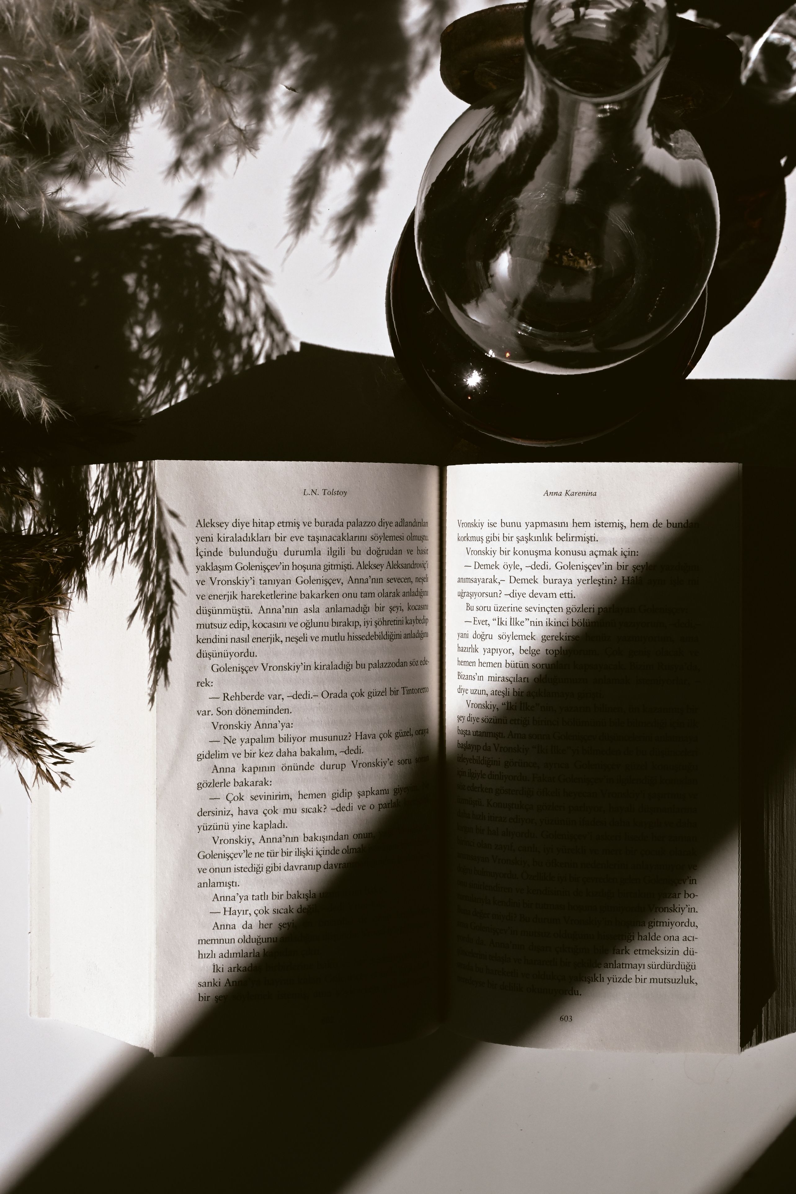 Cozy Reading Scene with Book and Shadows · Free Stock Photo