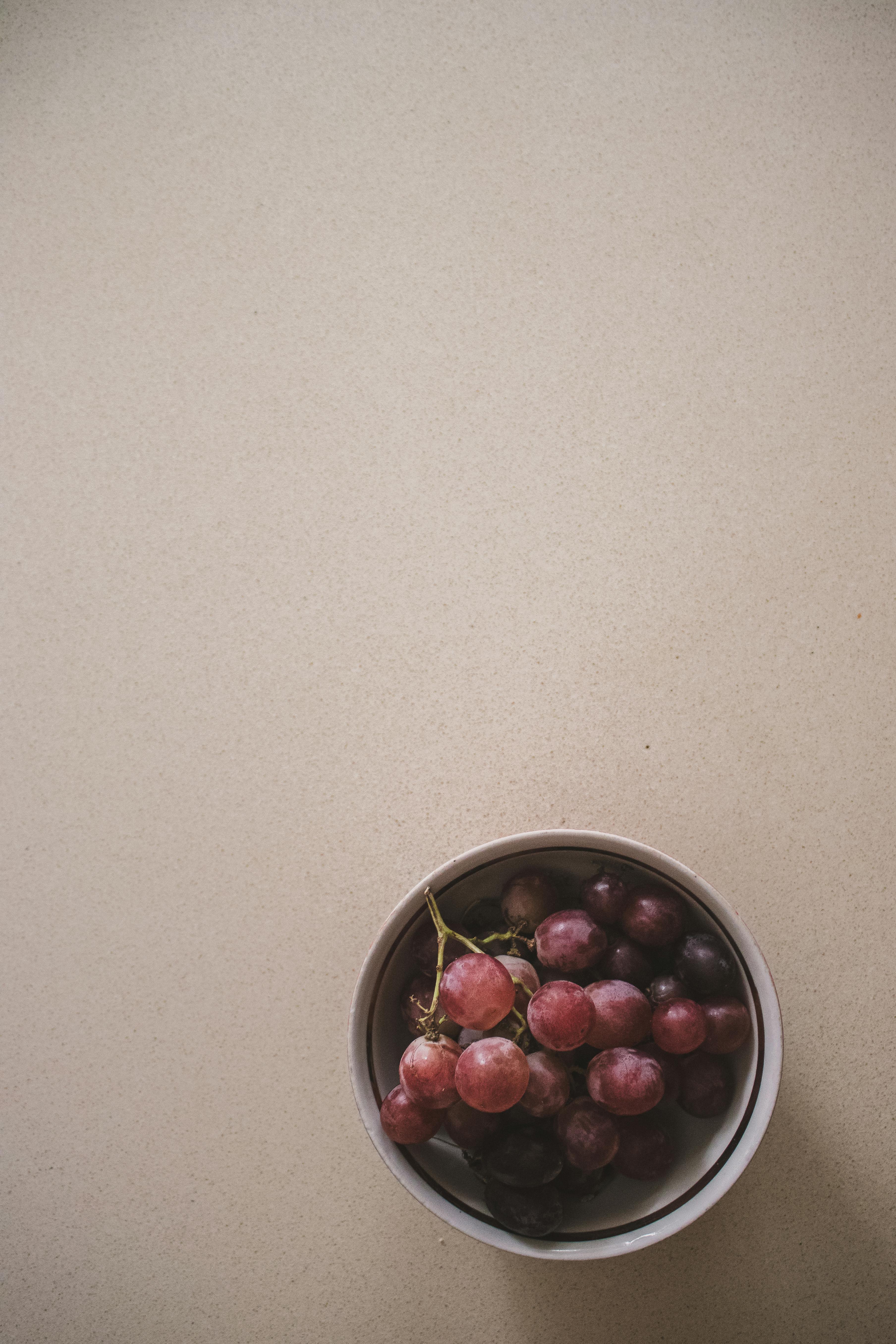 Still Life Photo Reference Photos, Download The BEST Free Still Life ...