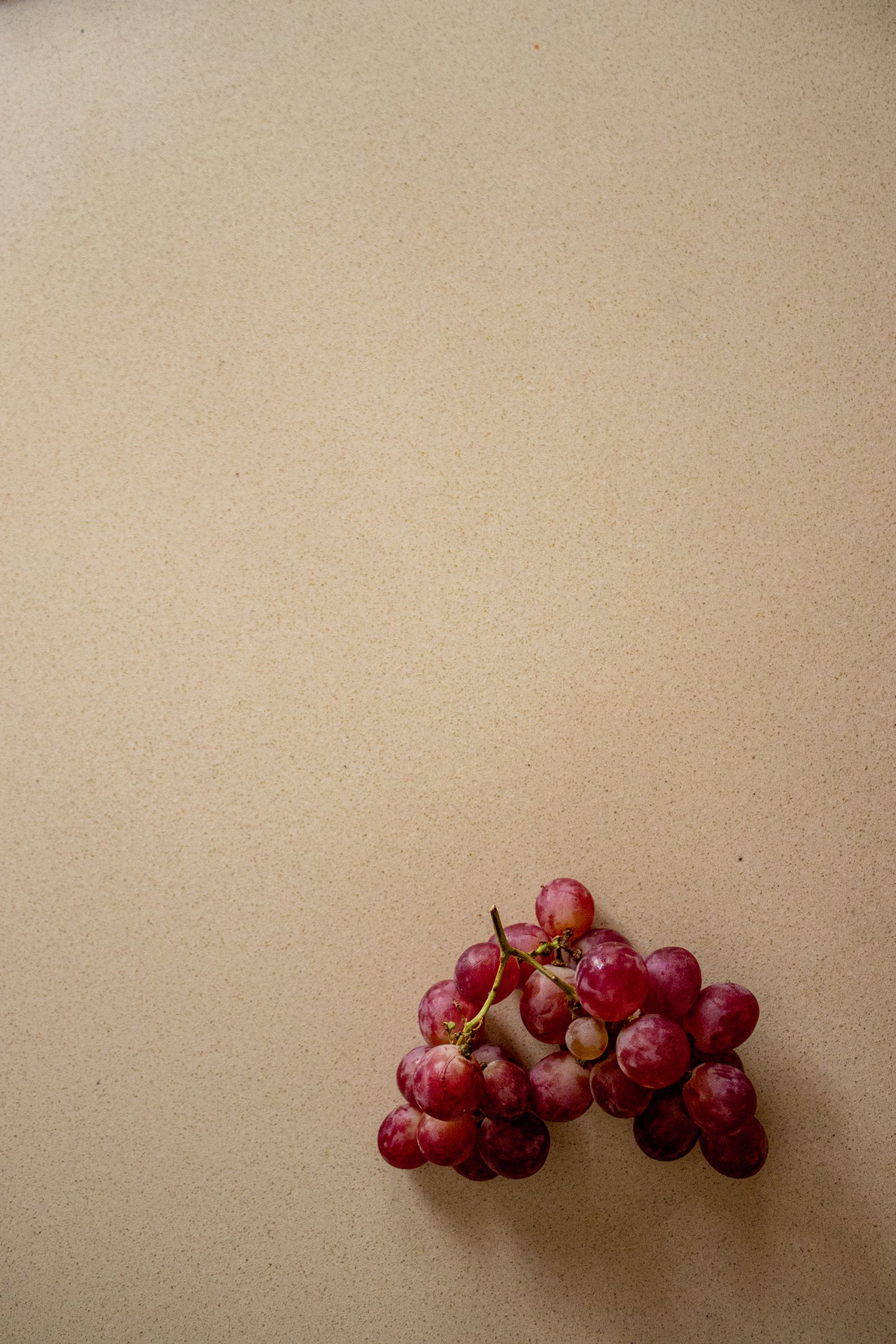 Clean Background Photos, Download The BEST Free Clean Background Stock ...