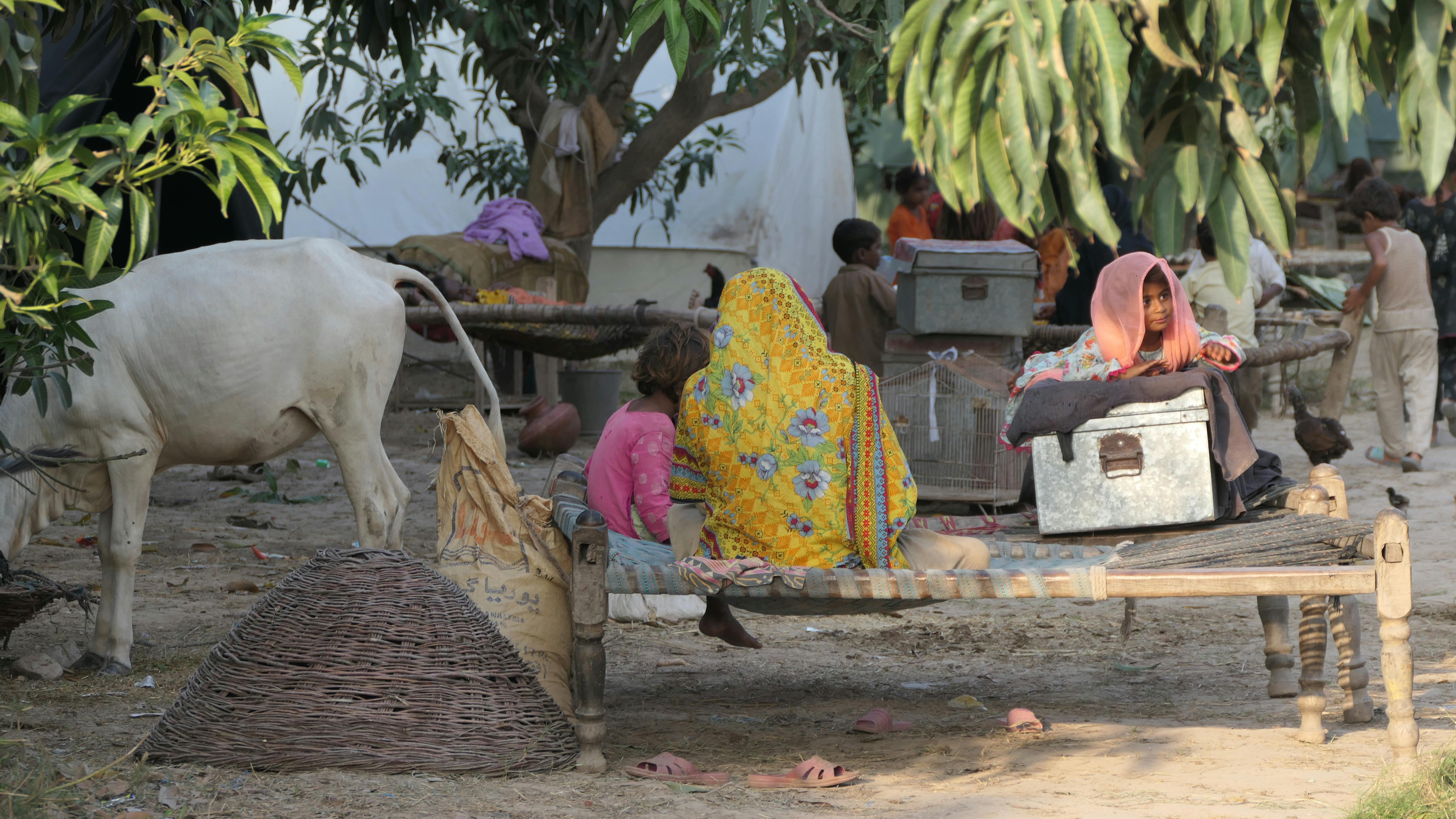 Candydoll+Child+Model Photos, Download The BEST Free Candydoll+Child ...