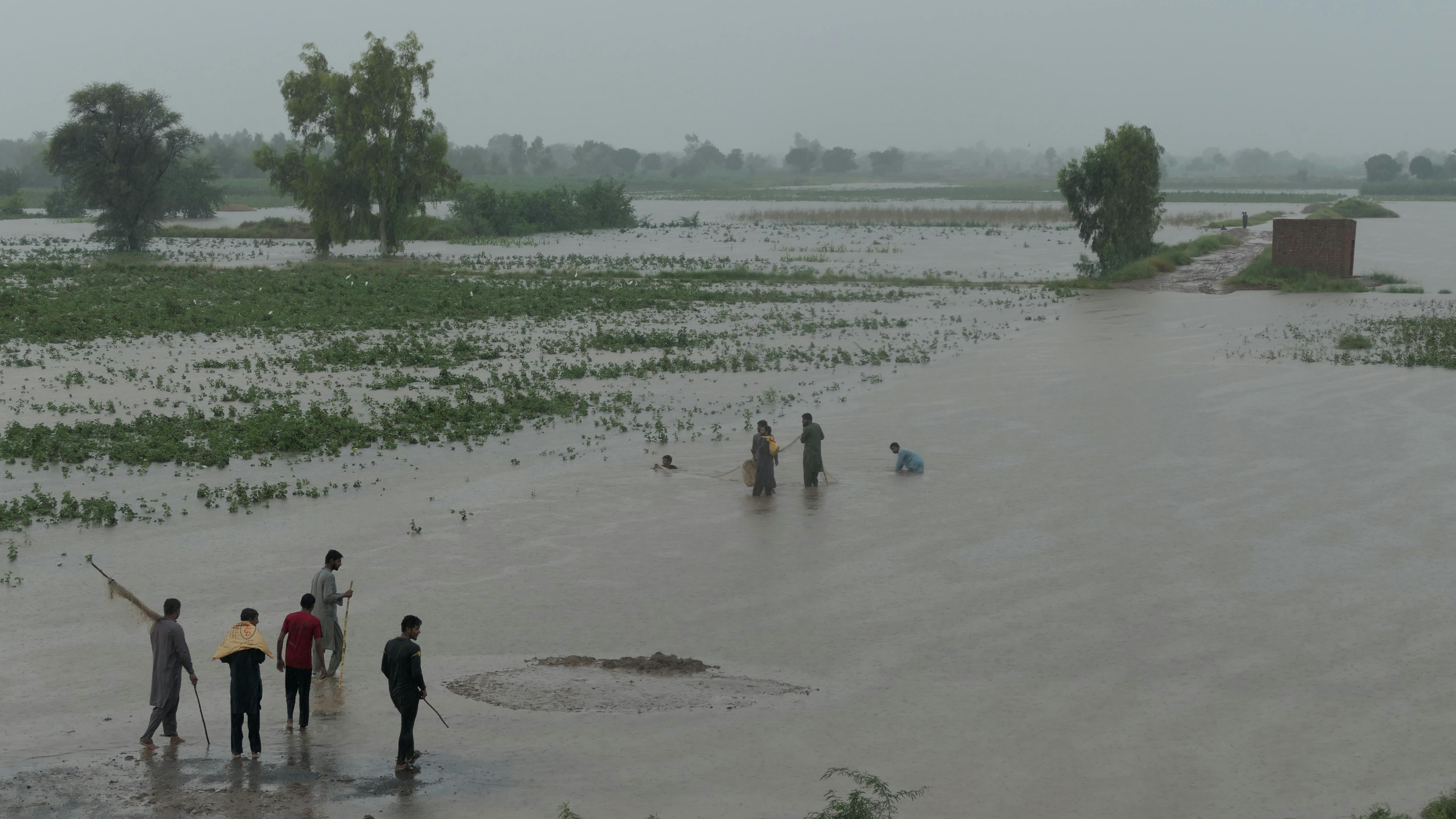 Rainfall Photos, Download The BEST Free Rainfall Stock Photos & HD Images