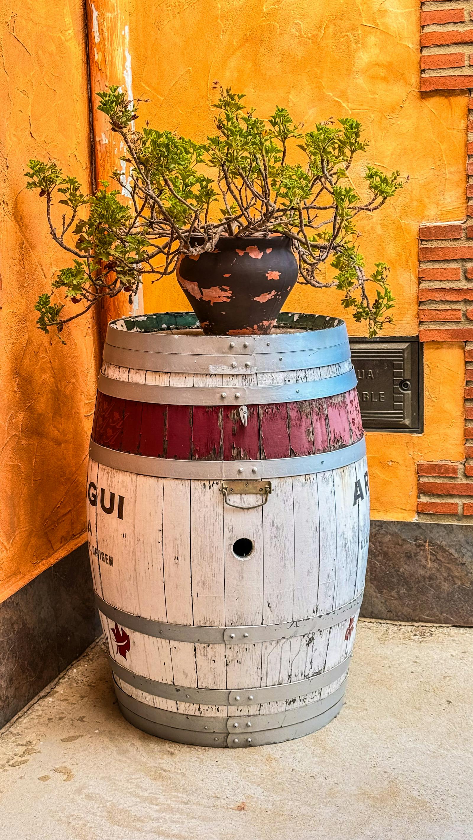 Aesthetic Pfp Photos, Download The BEST Free Aesthetic Pfp Stock Photos ...