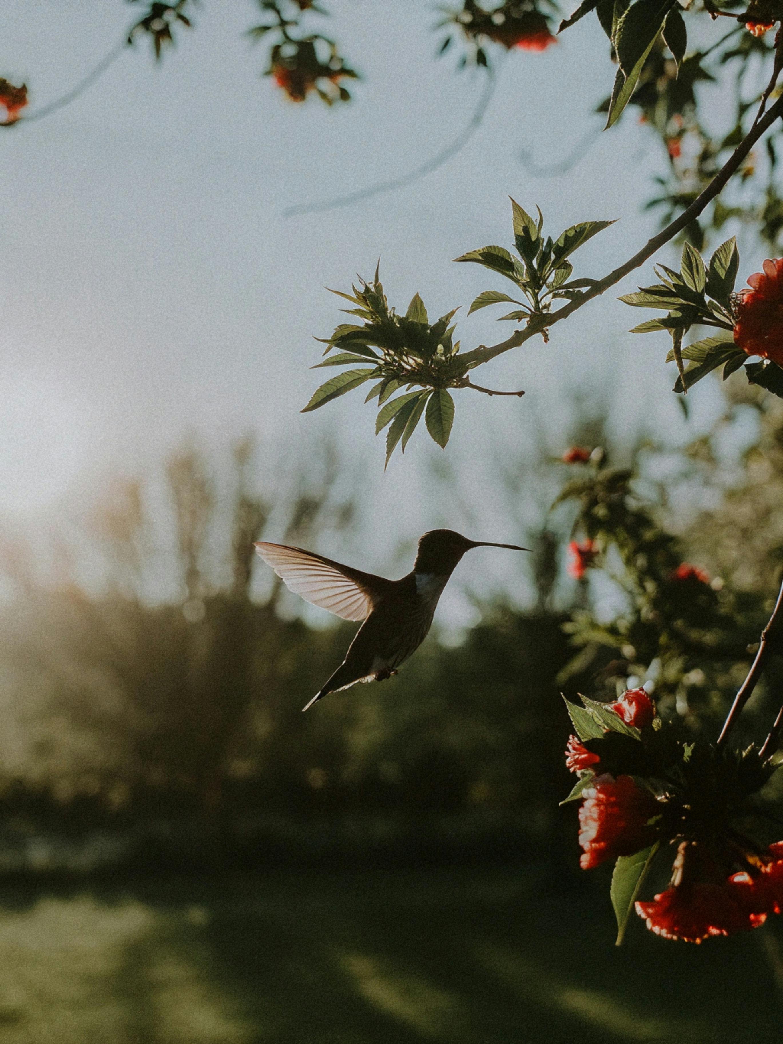 Scroller+Girls+Small Photos, Download The BEST Free Scroller+Girls ...