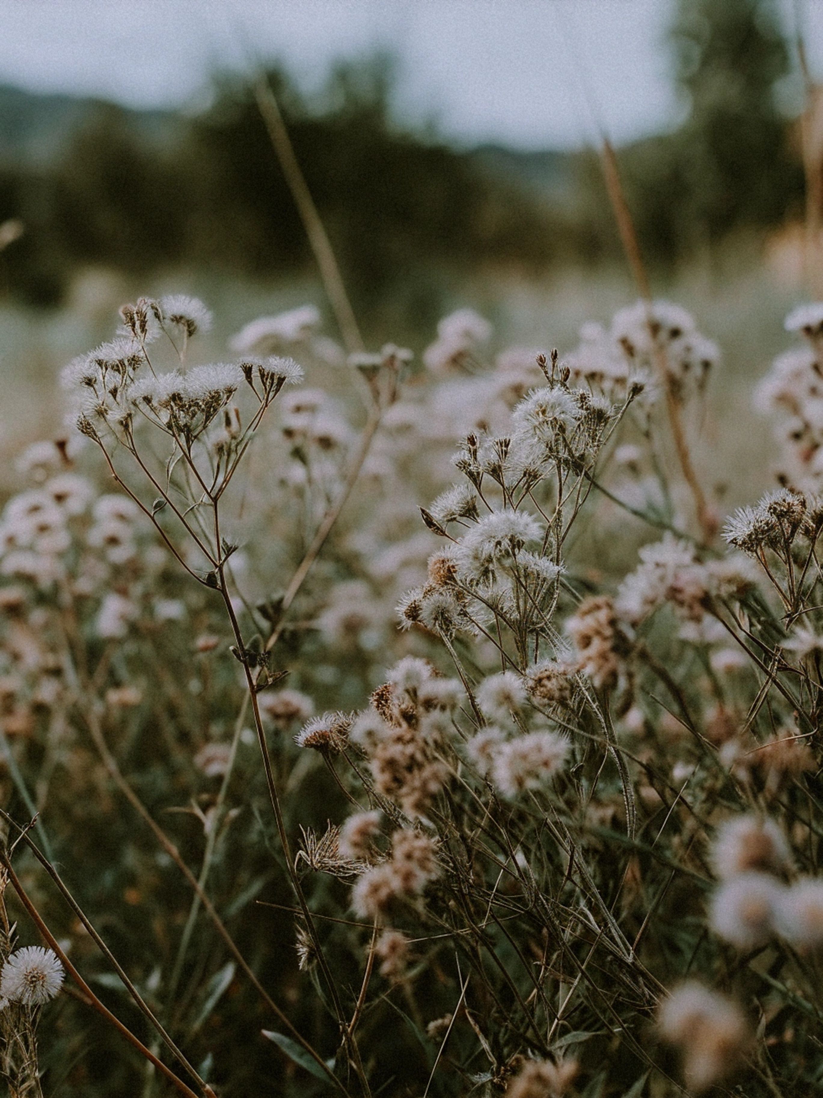 Breeze Photos, Download The BEST Free Breeze Stock Photos & HD Images