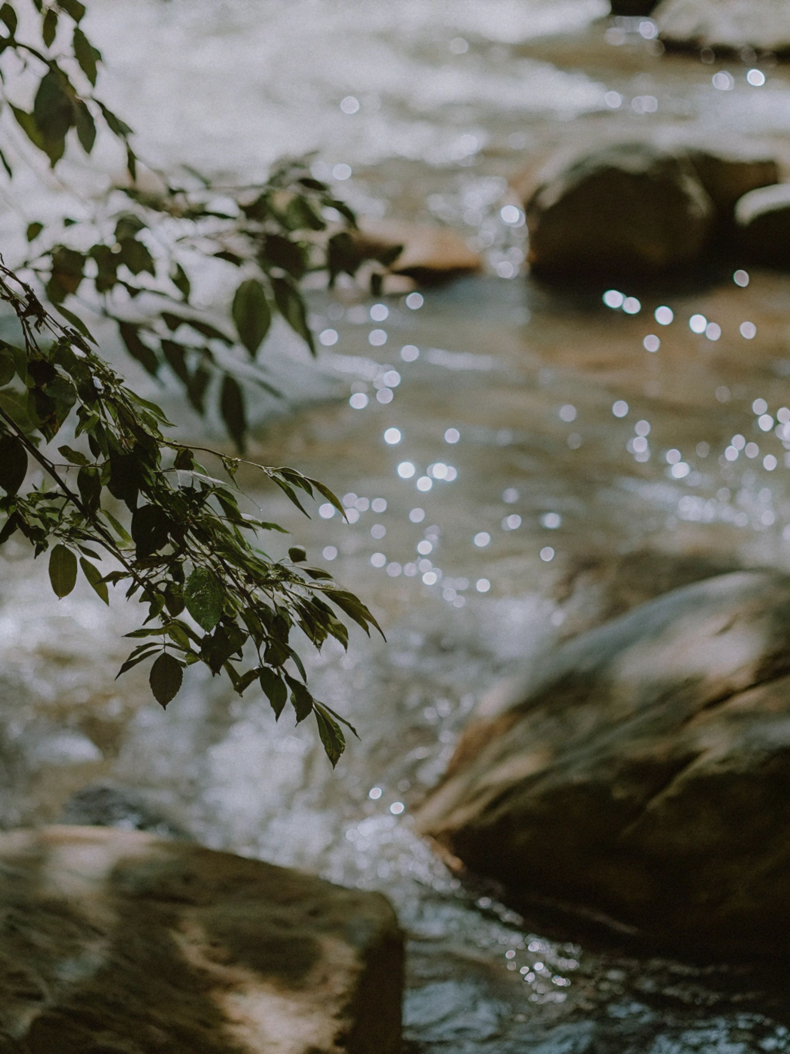 Relaxing Nature Photos, Download The BEST Free Relaxing Nature Stock ...