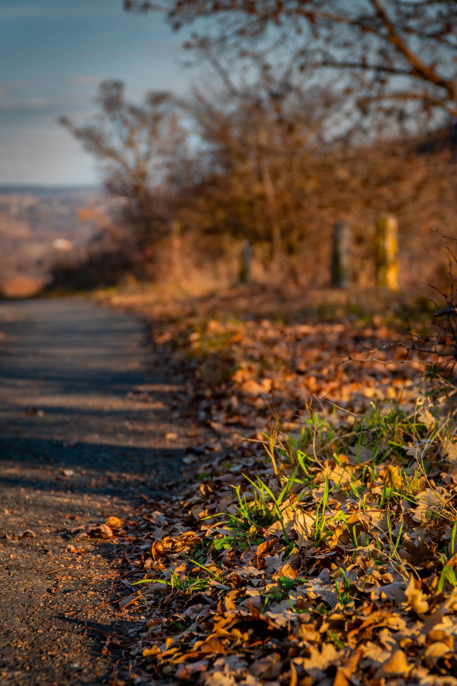 Fall Landscape Photos, Download The BEST Free Fall Landscape Stock ...