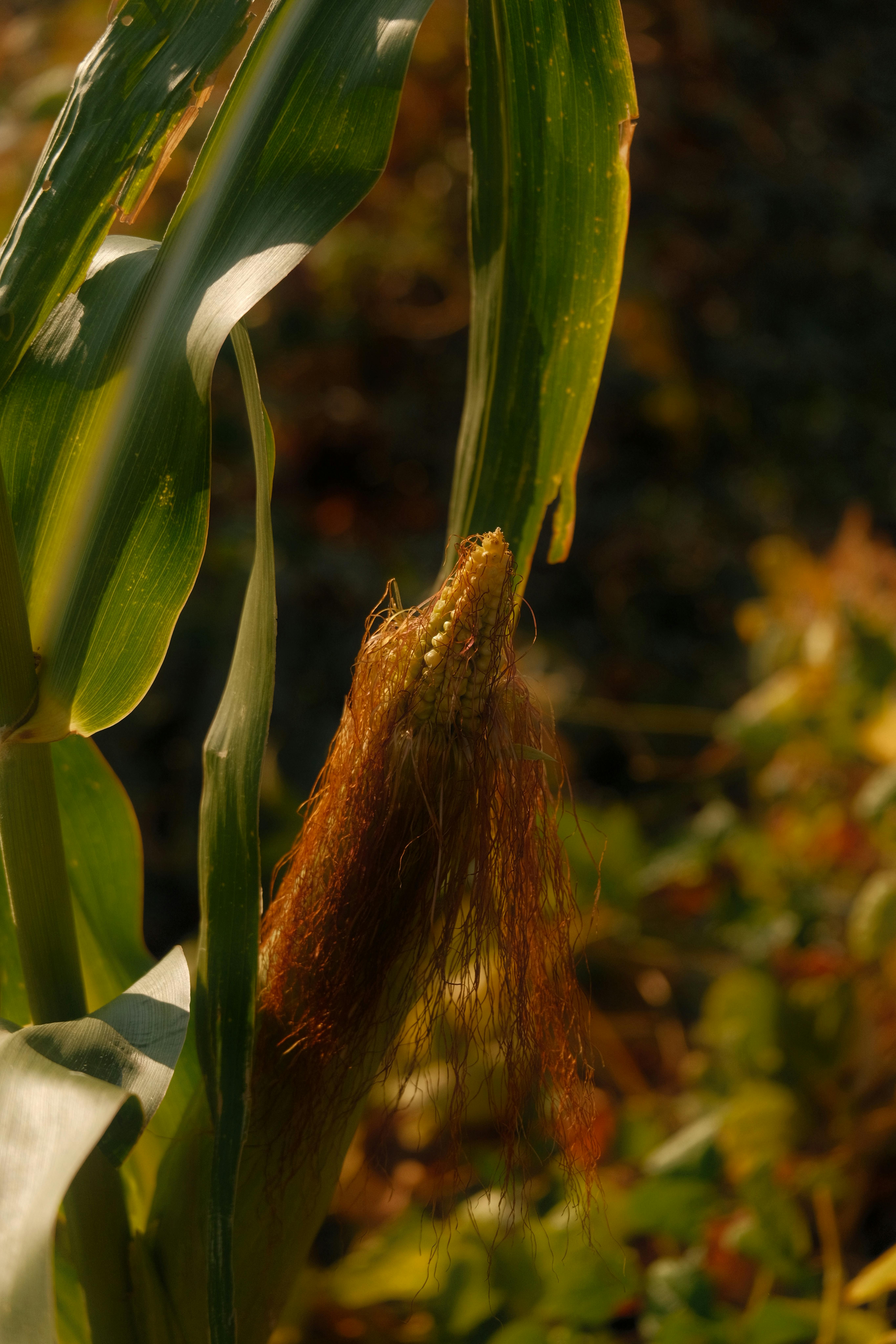 P+Diddy+Wallpaper Photos, Download The BEST Free P+Diddy+Wallpaper ...