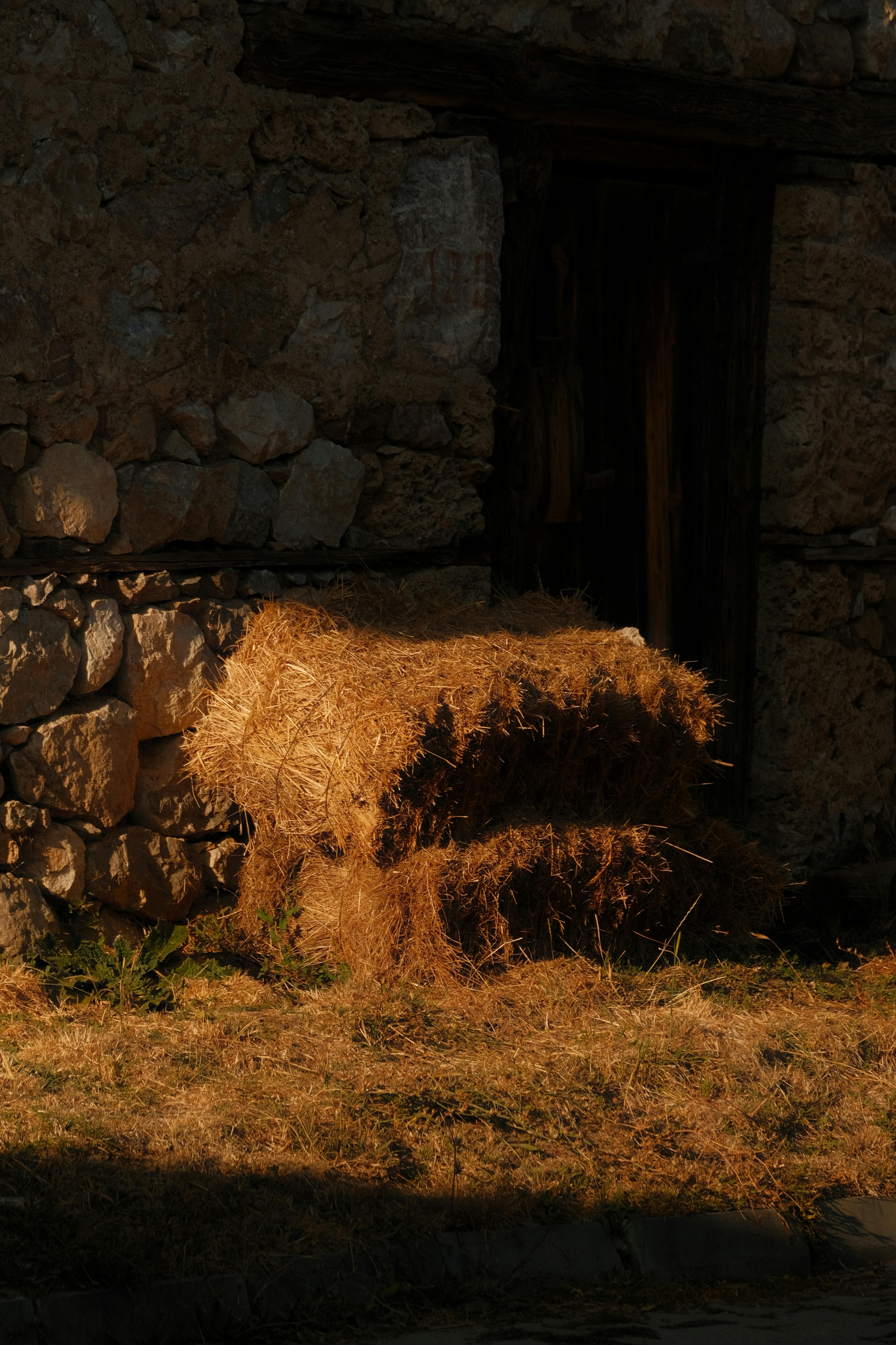 Rss+Wallpaper Photos, Download The BEST Free Rss+Wallpaper Stock Photos ...