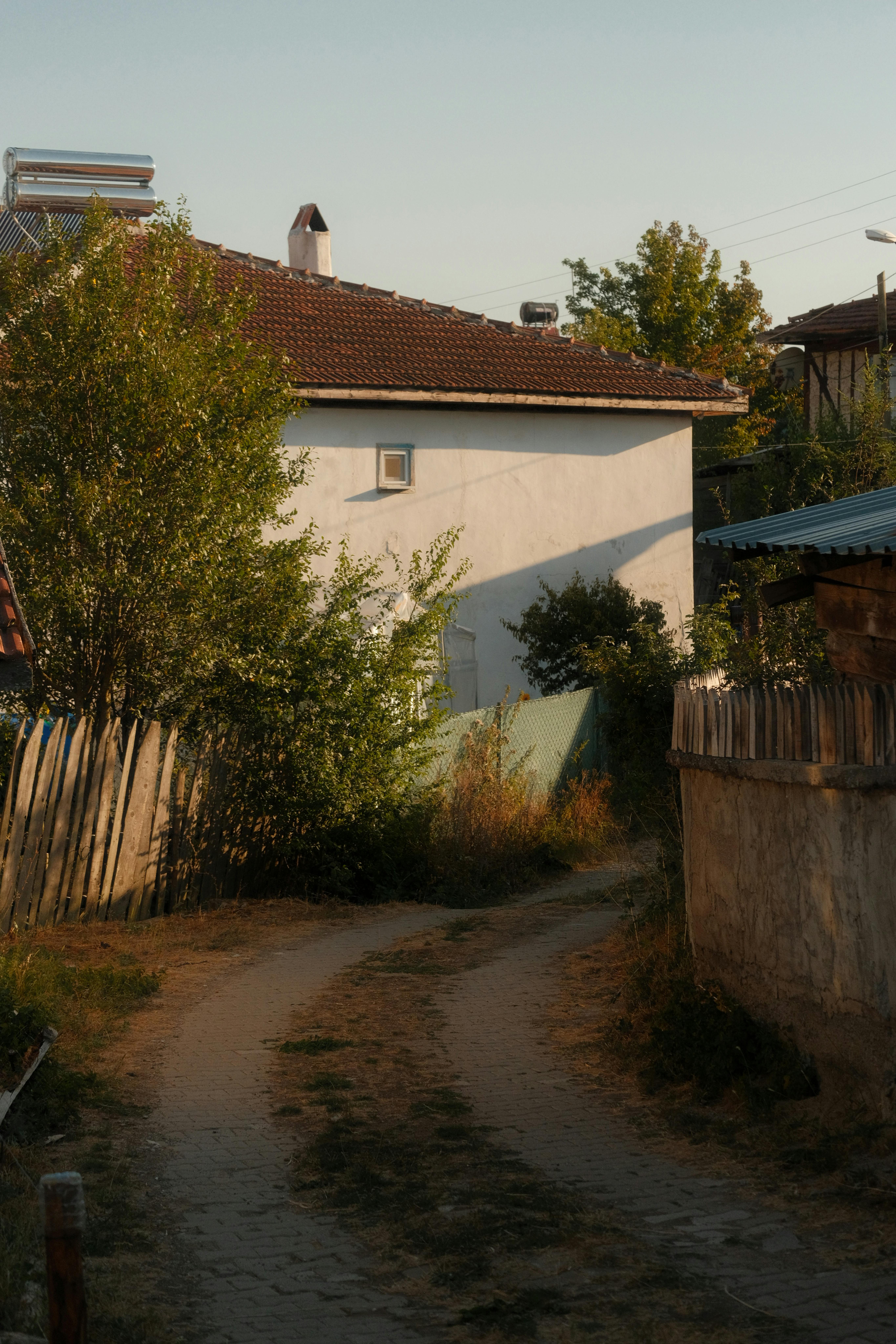 Italian+Brainrot+Wallpapers Photos, Download The BEST Free Italian ...