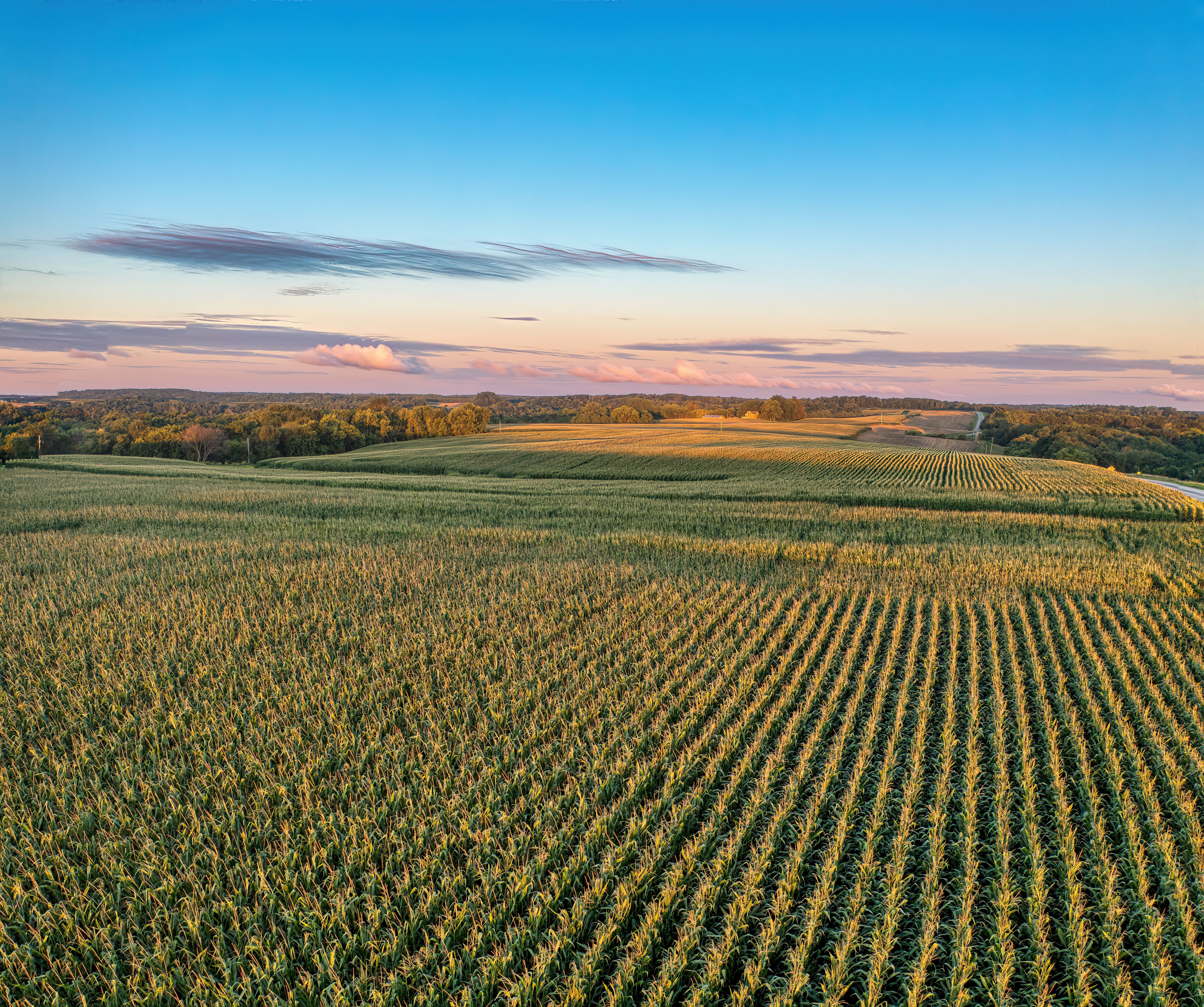 Farmland Horizon Photos, Download The BEST Free Farmland Horizon Stock ...