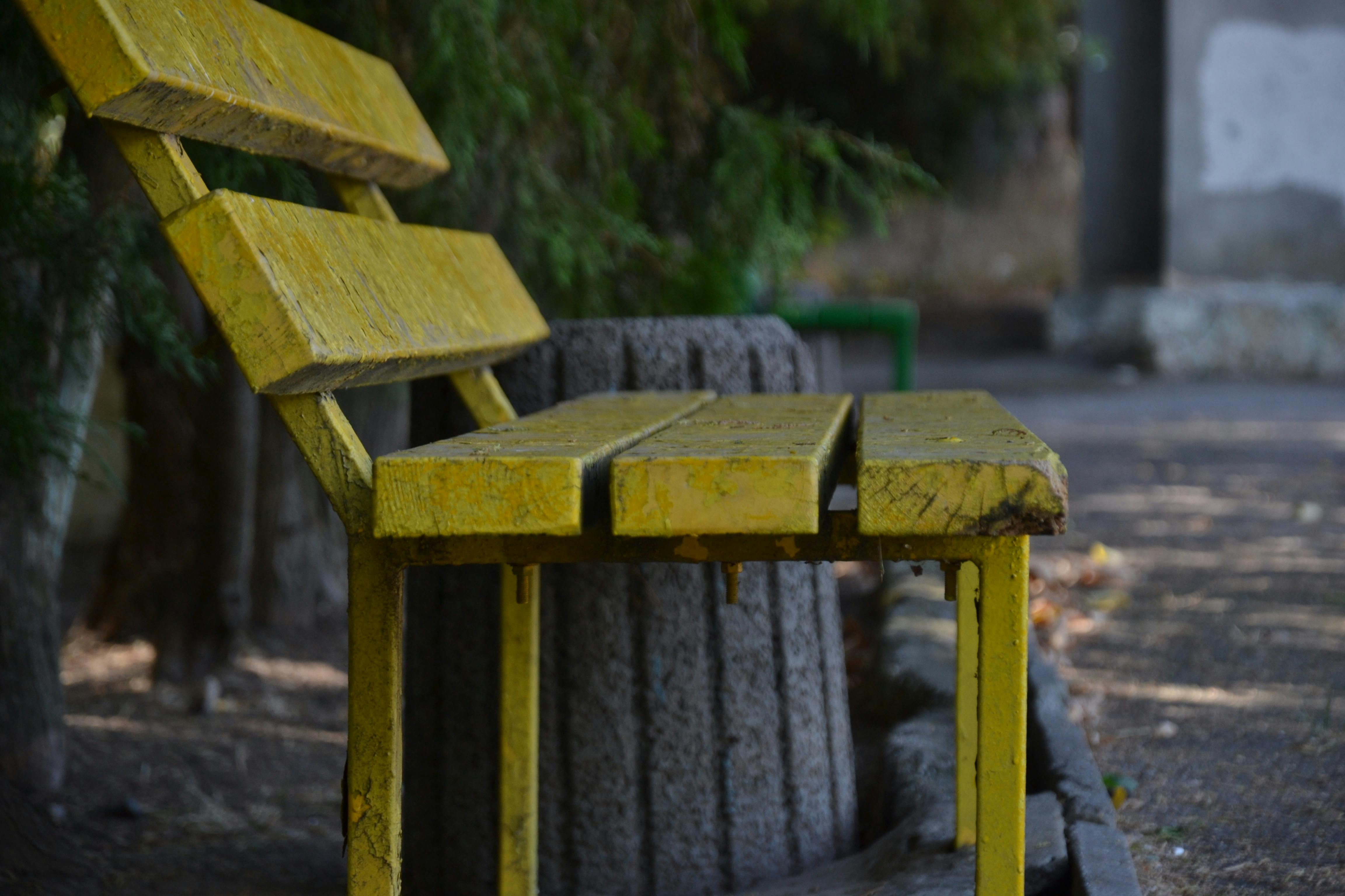 Hermaphrodite+Human+Image Photos, Download The BEST Free Hermaphrodite ...