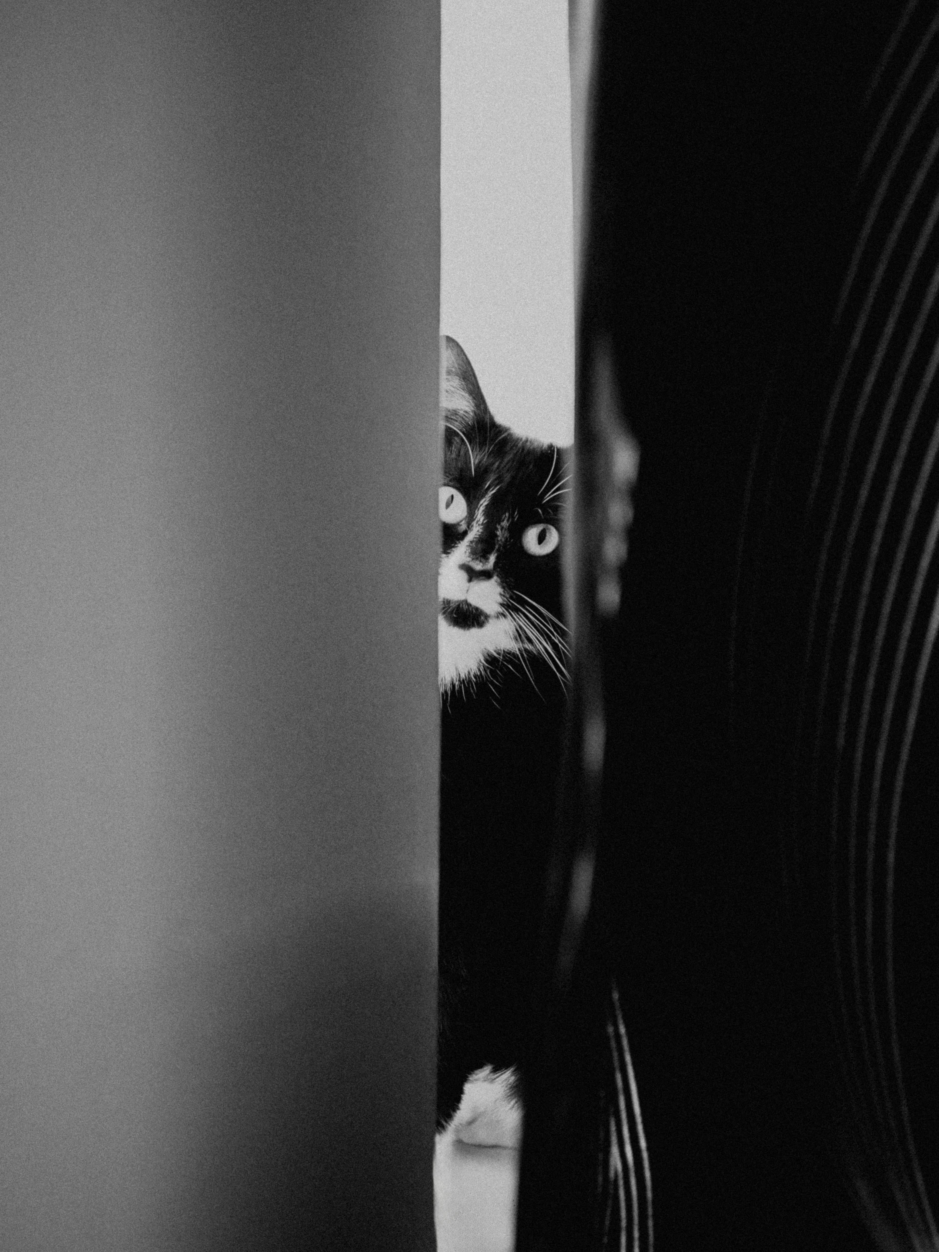 Cute+Nymph Photos, Download The BEST Free Cute+Nymph Stock Photos & HD ...