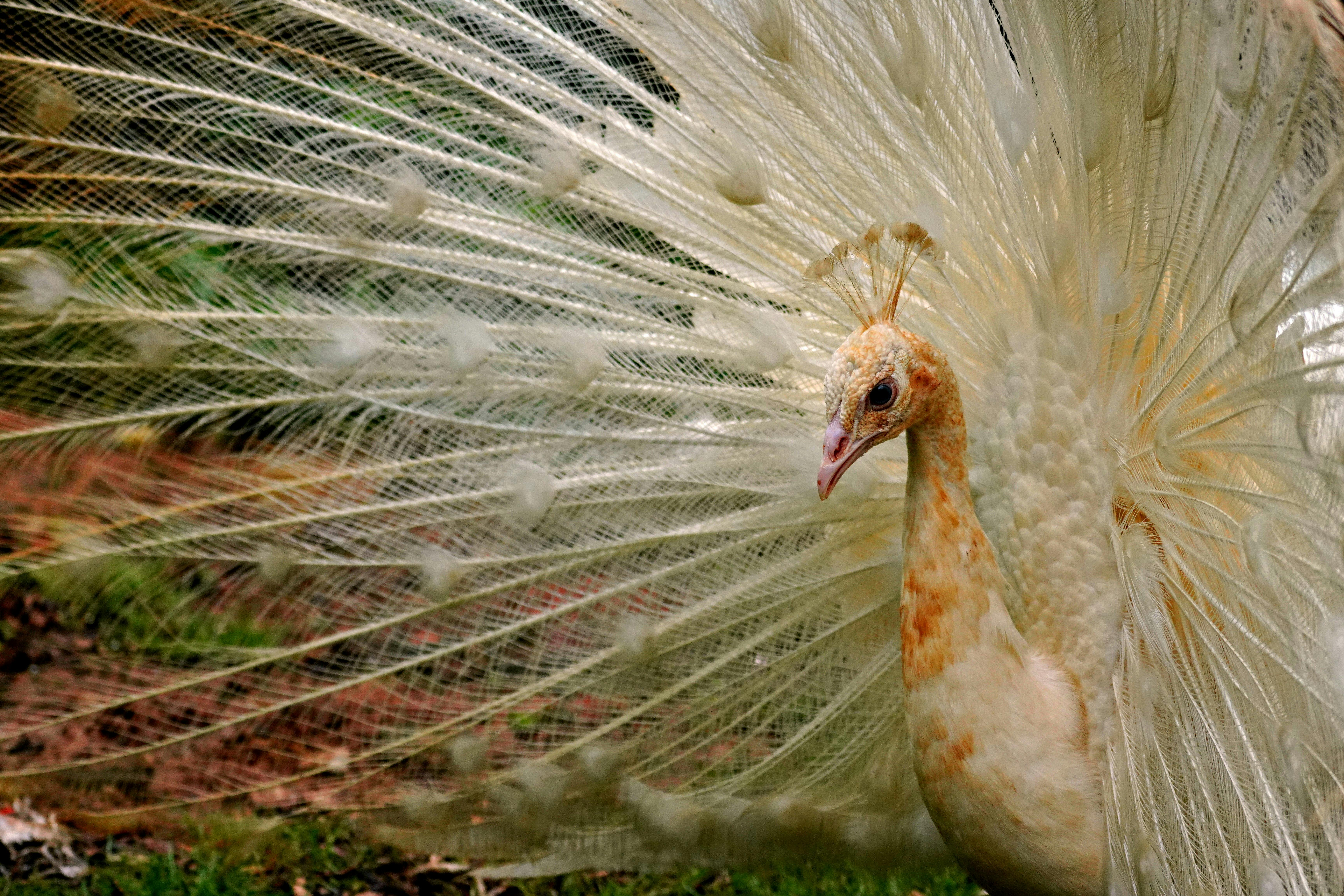 89.031+ Fotos y Imágenes de Senos+hermosos+desnudos Gratis · Banco de ...