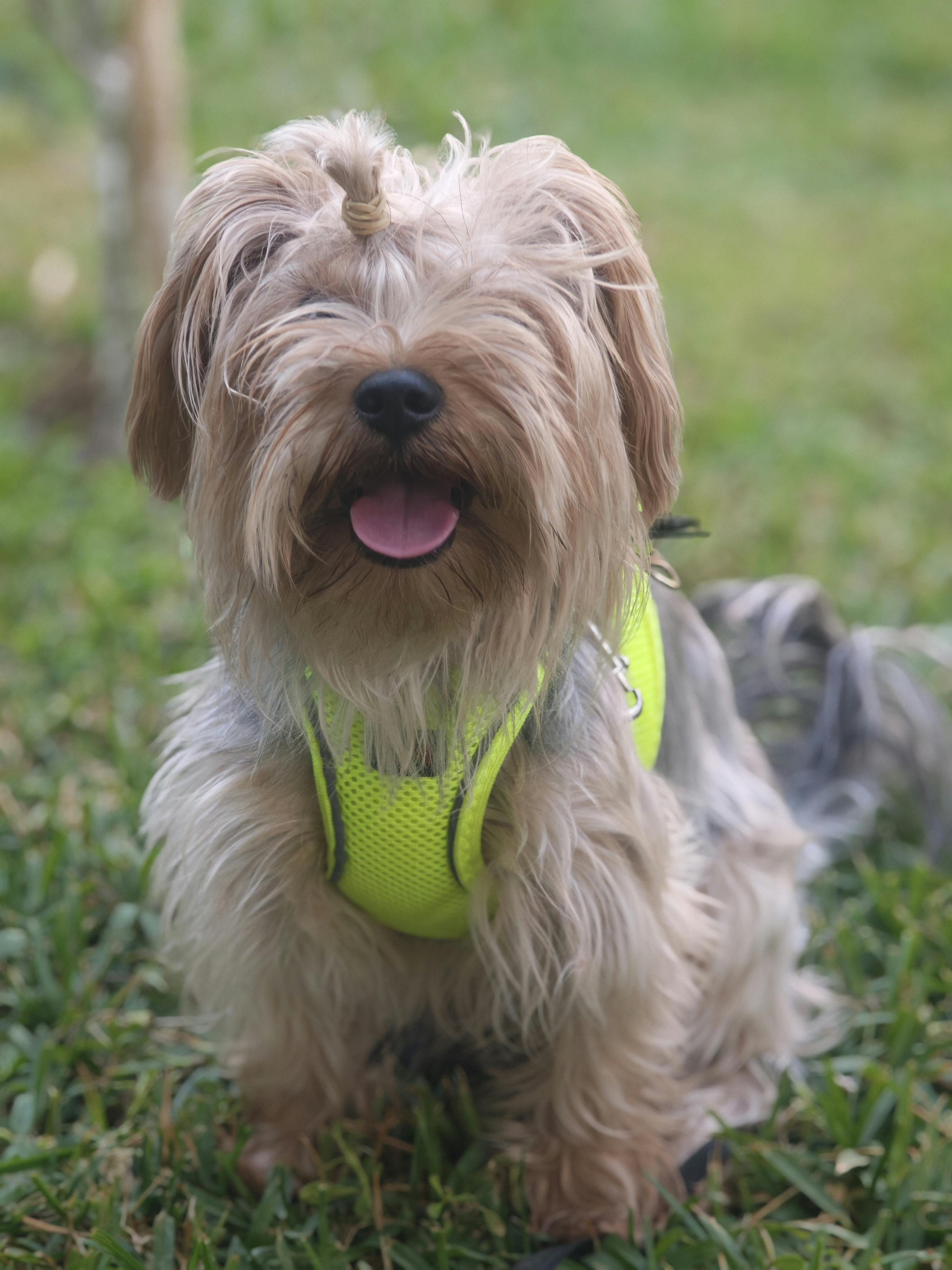 Cute+Nymph Photos, Download The BEST Free Cute+Nymph Stock Photos & HD ...