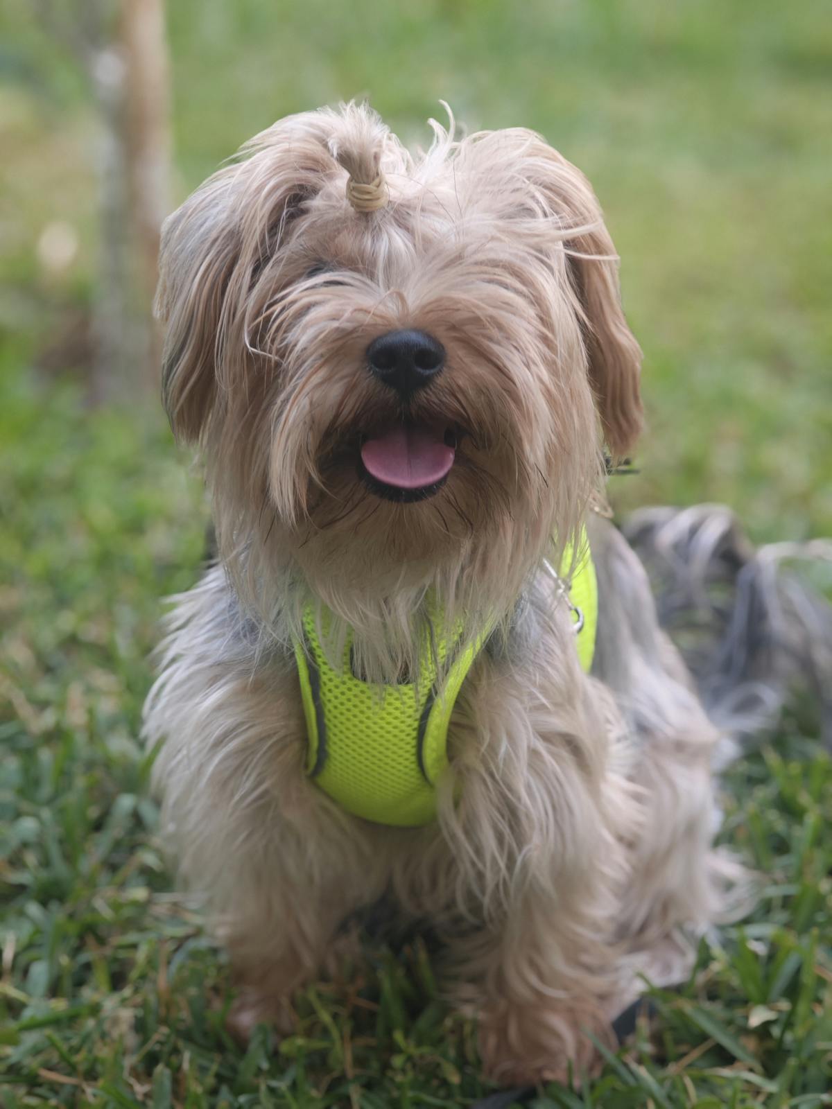 Cute+Nymph Photos, Download The BEST Free Cute+Nymph Stock Photos & HD ...