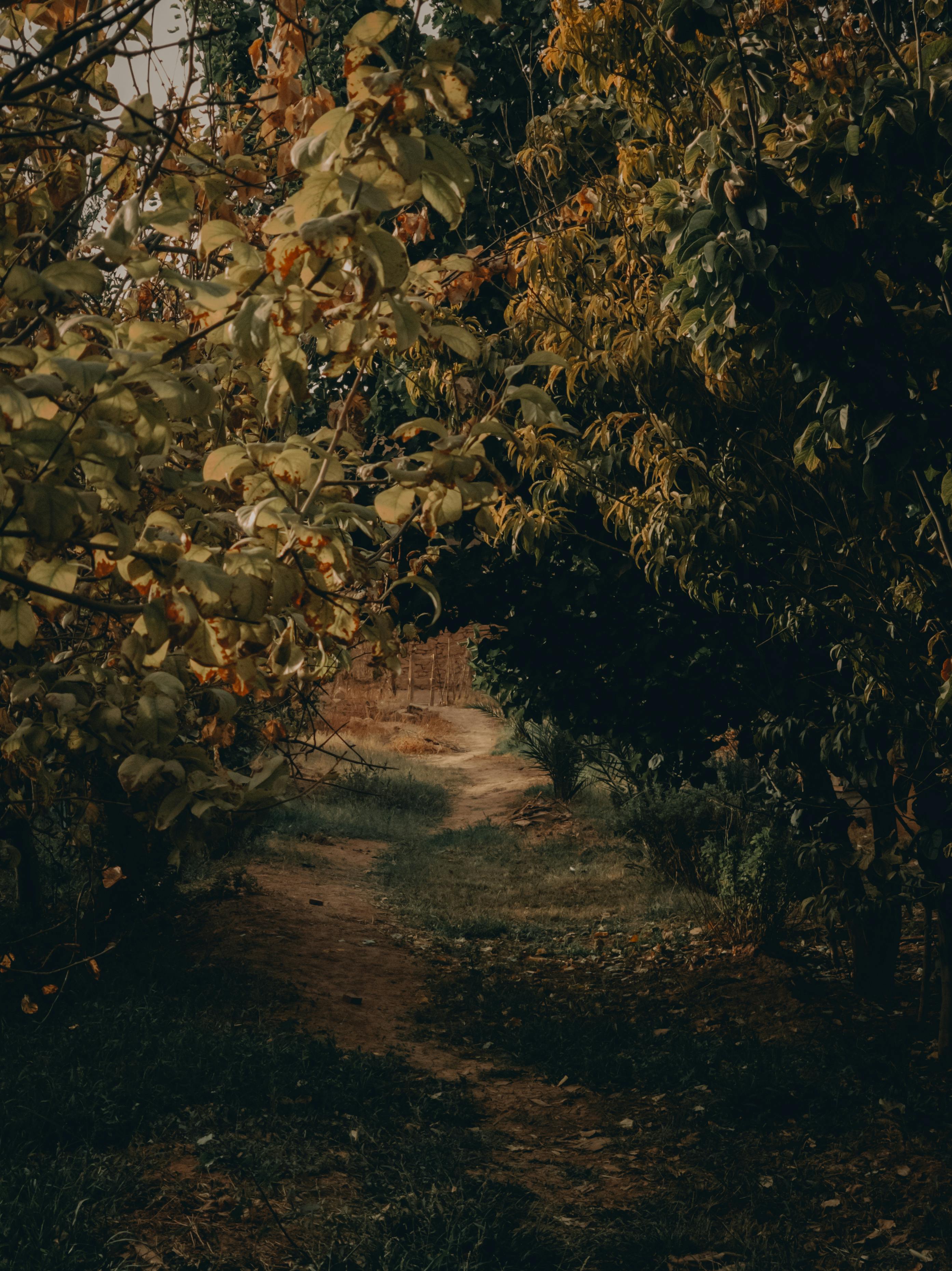 September Fall Wallpaper Photos, Download The BEST Free September Fall ...