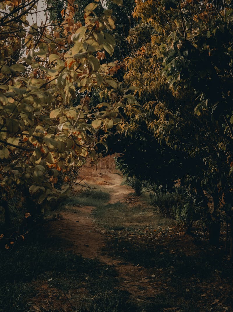 September Photos, Download The BEST Free September Stock Photos & HD Images