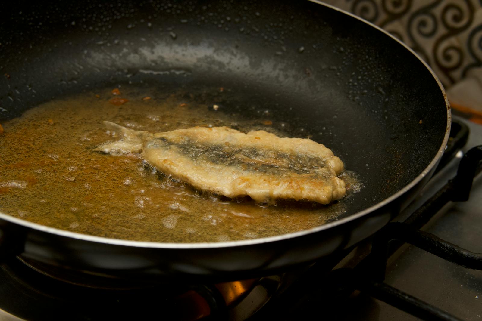 Fish Funny Photos, Download The BEST Free Fish Funny Stock Photos & HD ...