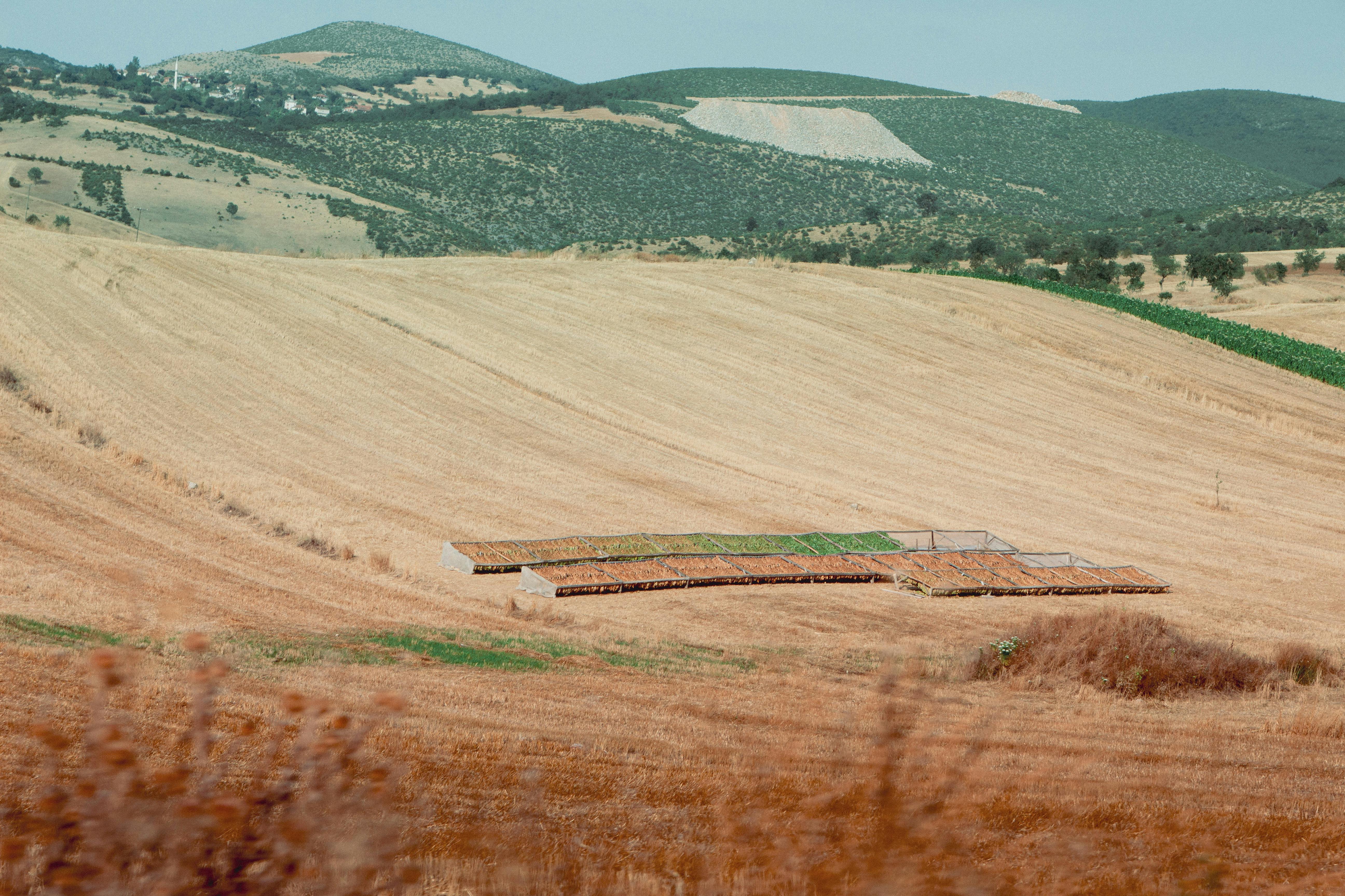 Visual Photos, Download The BEST Free Visual Stock Photos & HD Images