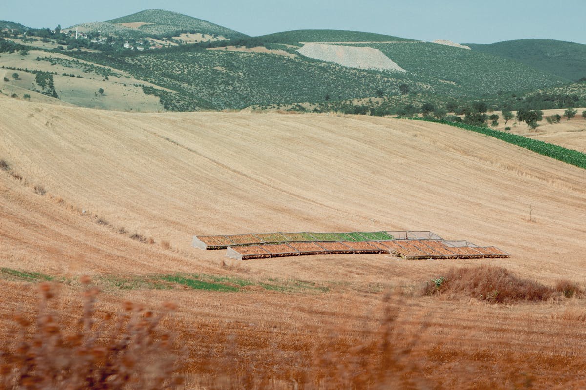 Visual Photos, Download The BEST Free Visual Stock Photos & HD Images