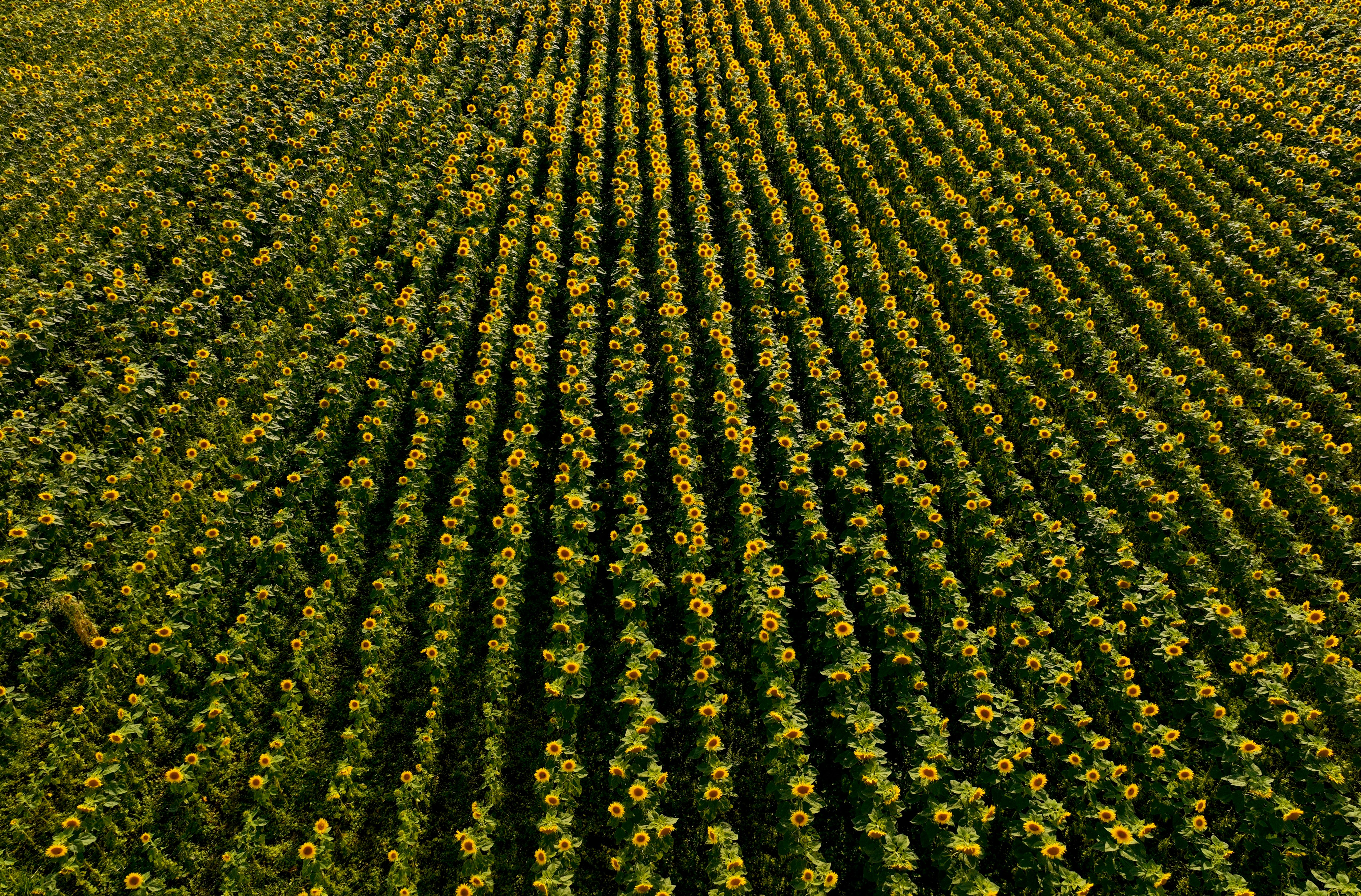View From Above Photos, Download The BEST Free View From Above Stock ...
