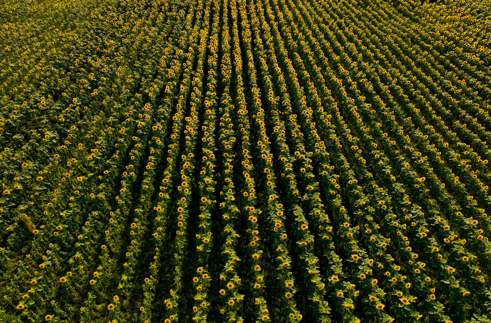 View From Above Photos, Download The BEST Free View From Above Stock ...