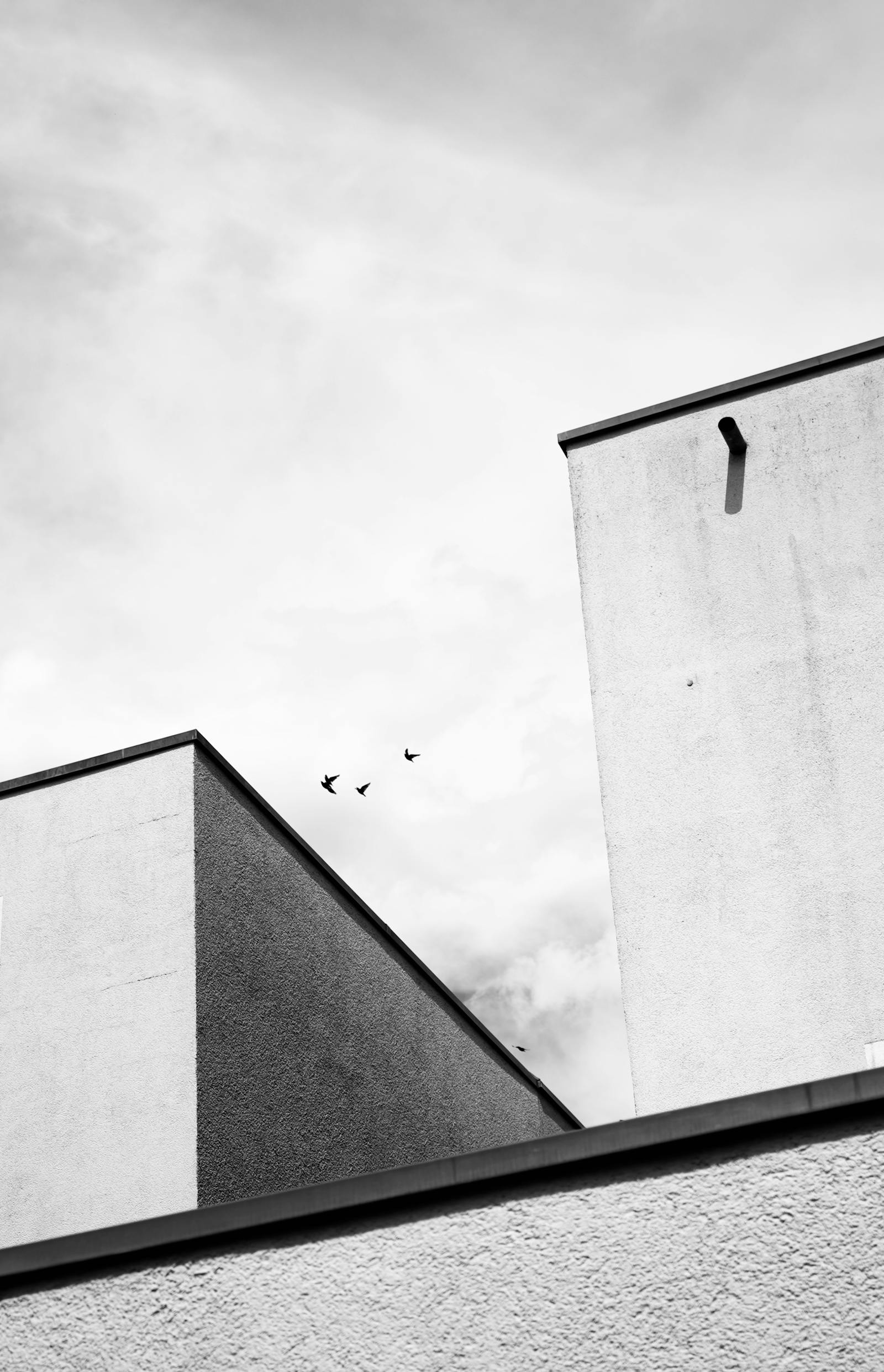 Free+Bitmap+Images Photos, Download The BEST Free Free+Bitmap+Images ...