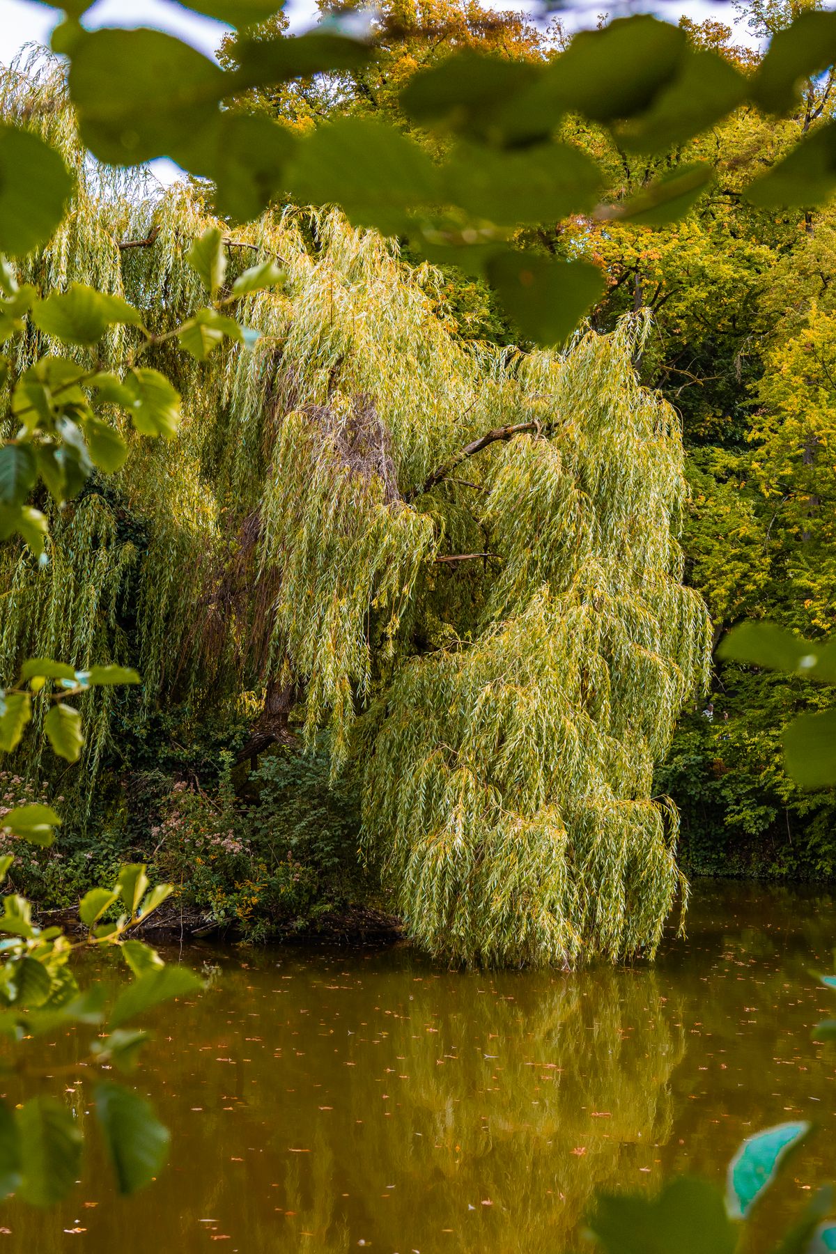 Lake View Photos, Download The BEST Free Lake View Stock Photos & HD Images