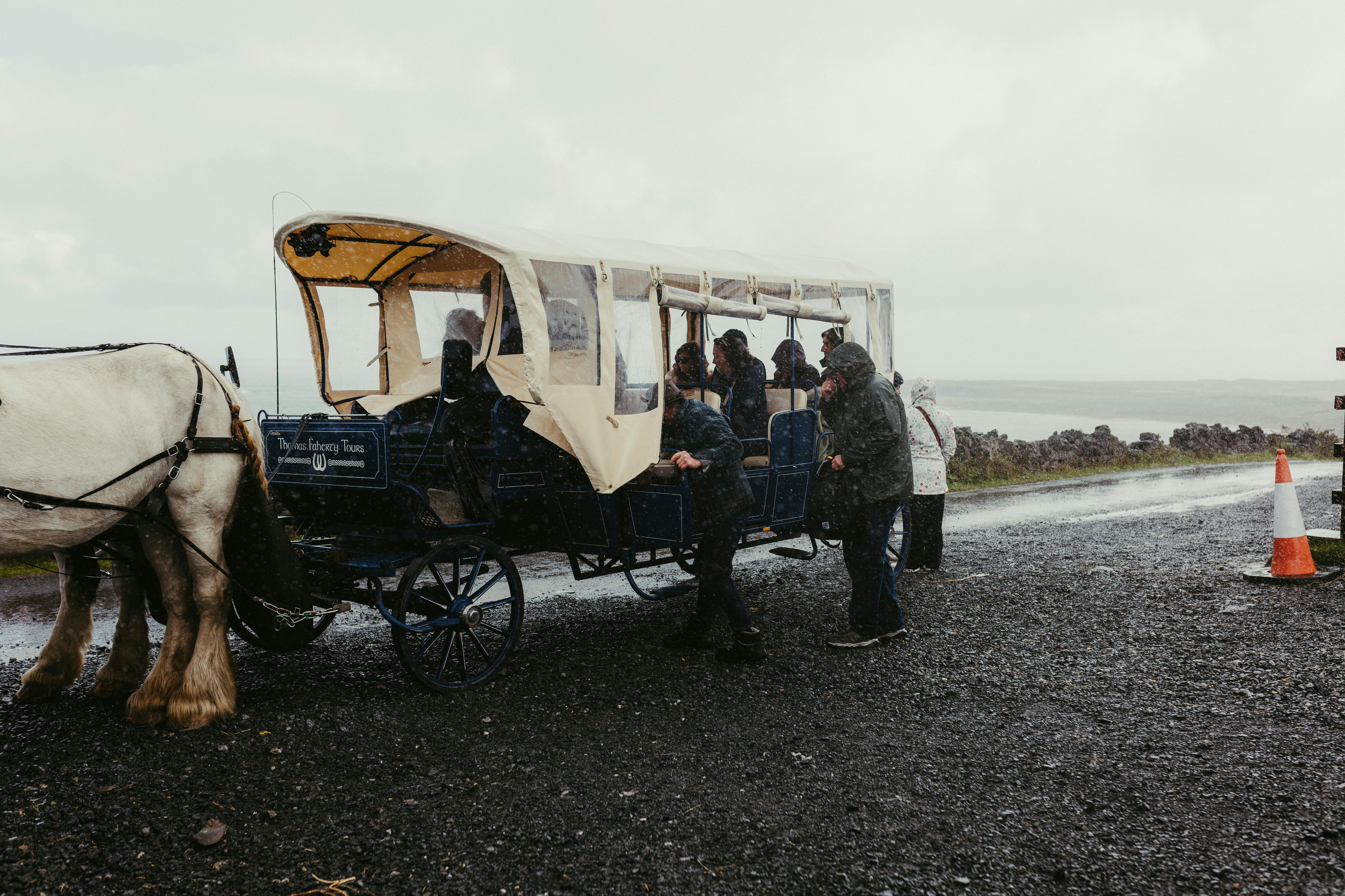 50 000+ beste Turbilder · 100 % gratis nedlasting · Pexels-arkivbilder