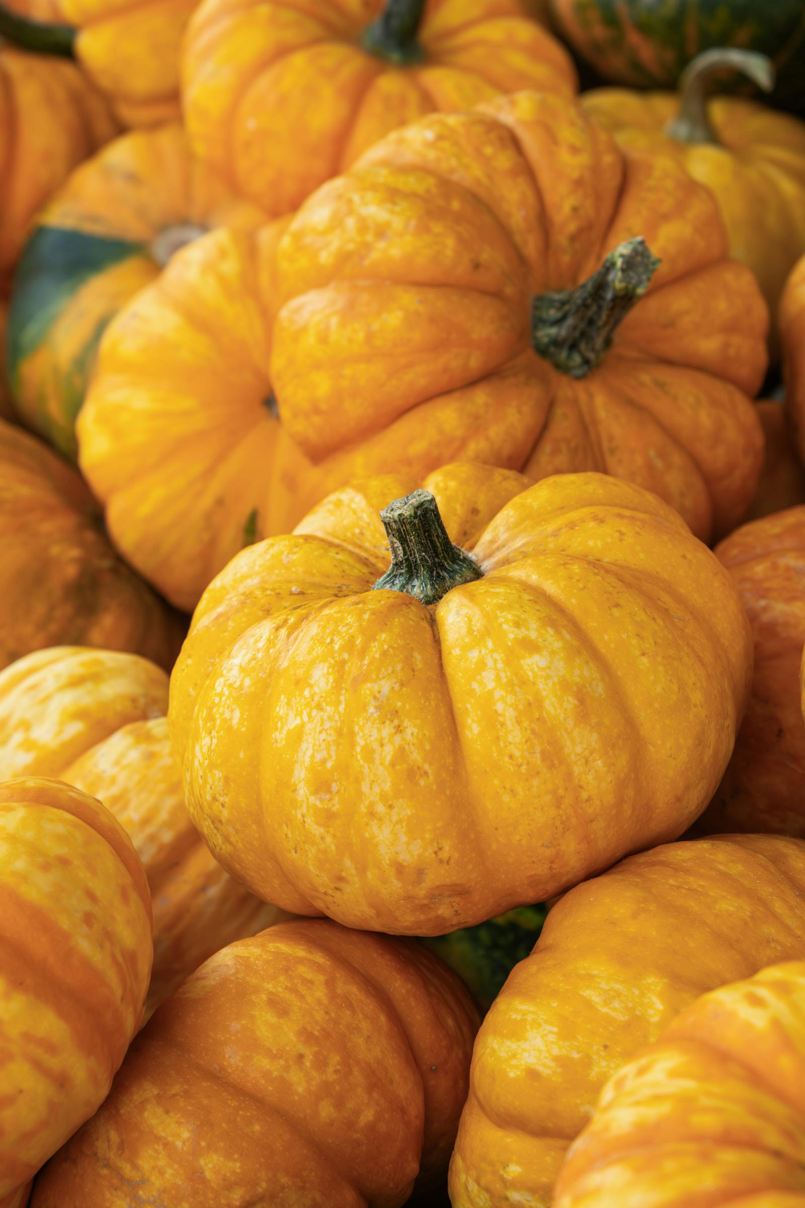 Hello October Photos, Download The BEST Free Hello October Stock Photos ...