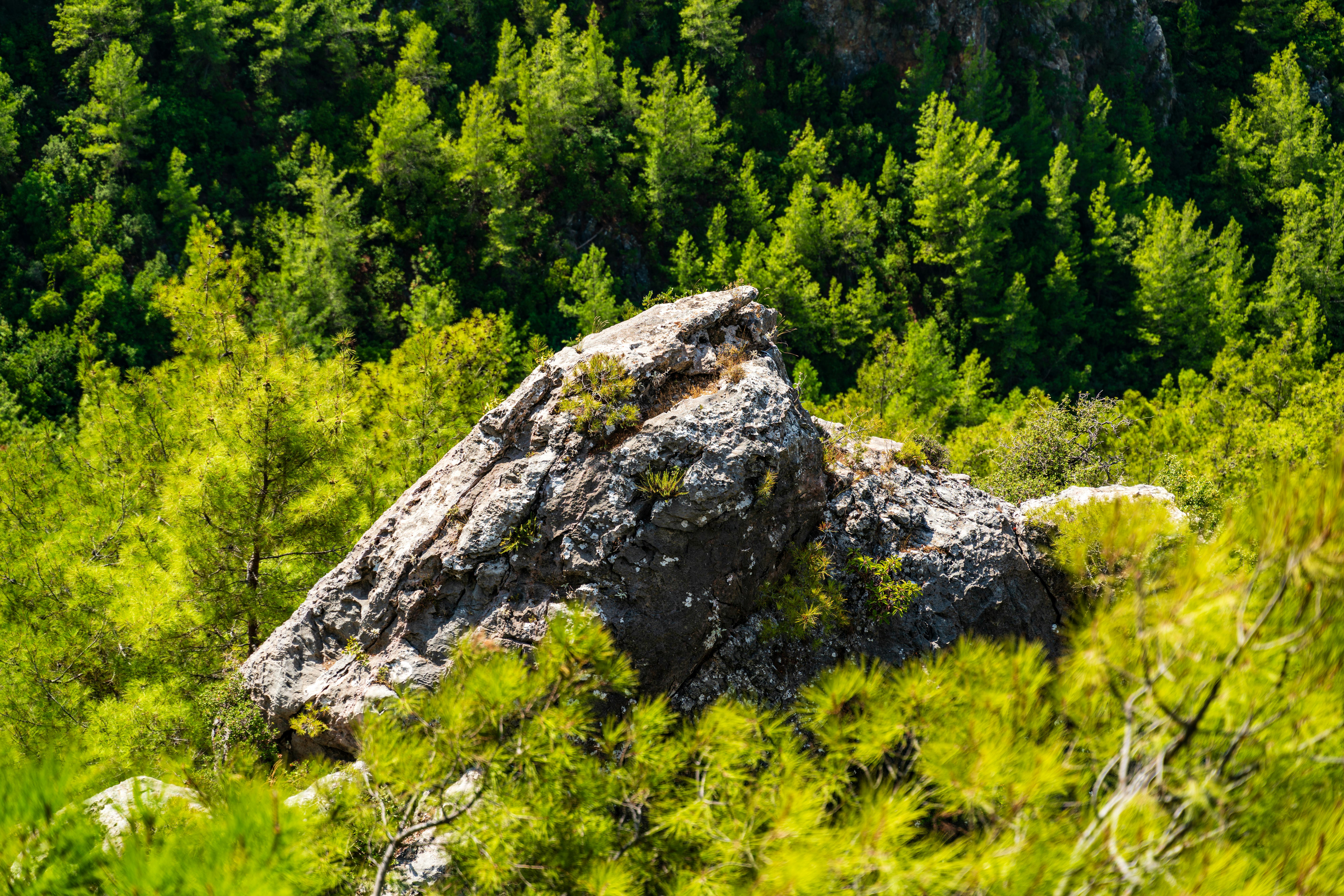 30.000+ Riesen+titten+bilder Bilder und Fotos · Kostenlos Downloaden · Pexels Stock-Fotos