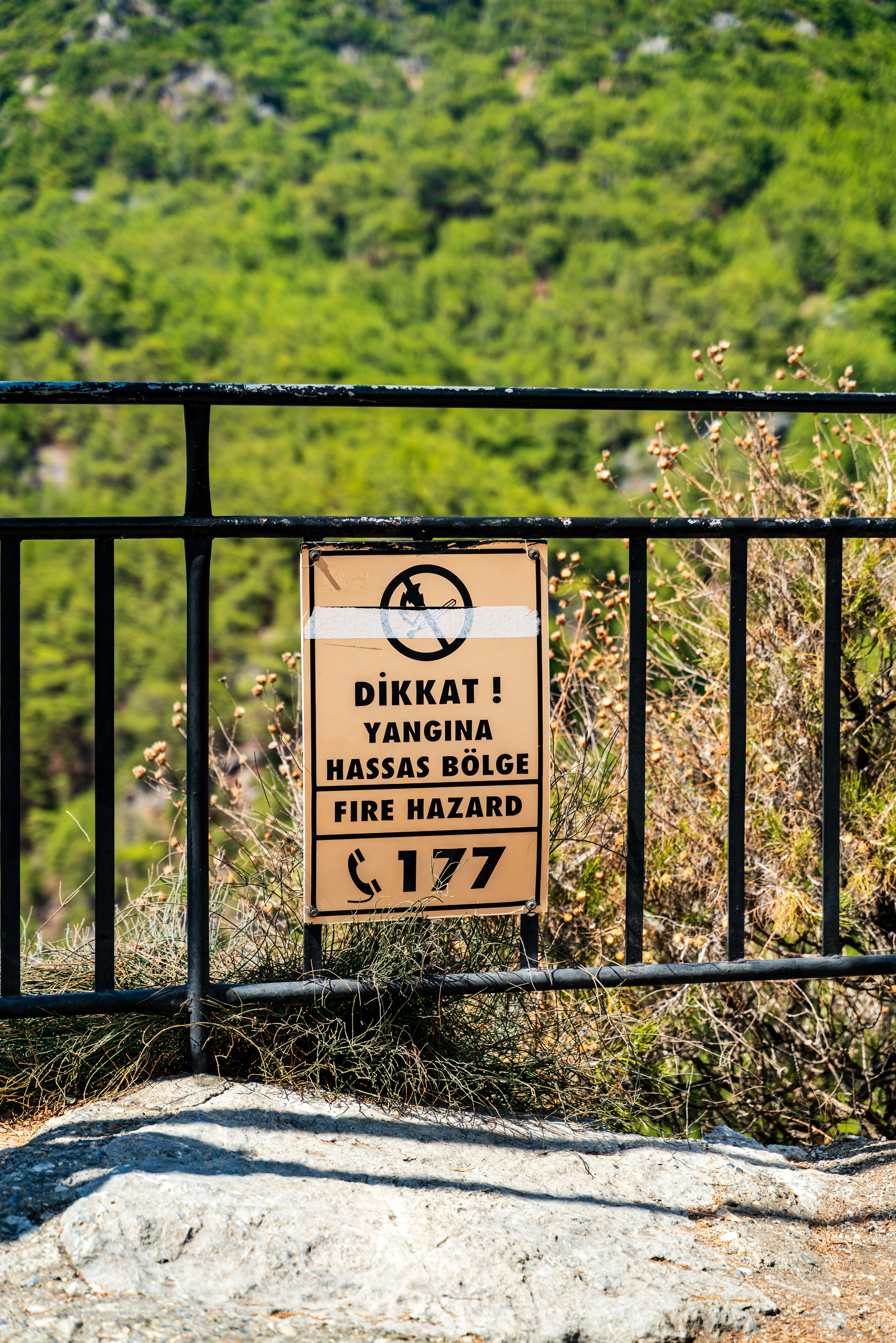 Nature High Resolution Photos, Download The BEST Free Nature High ...