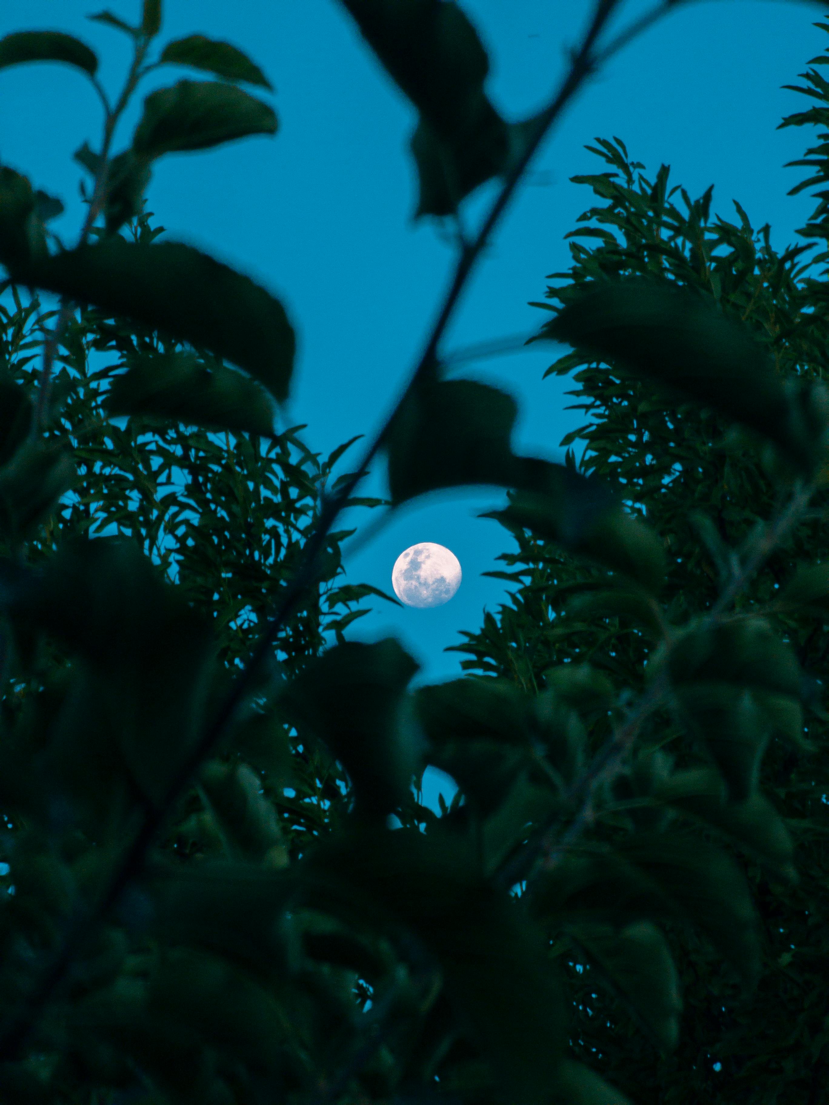 Silent Photos, Download The BEST Free Silent Stock Photos & HD Images